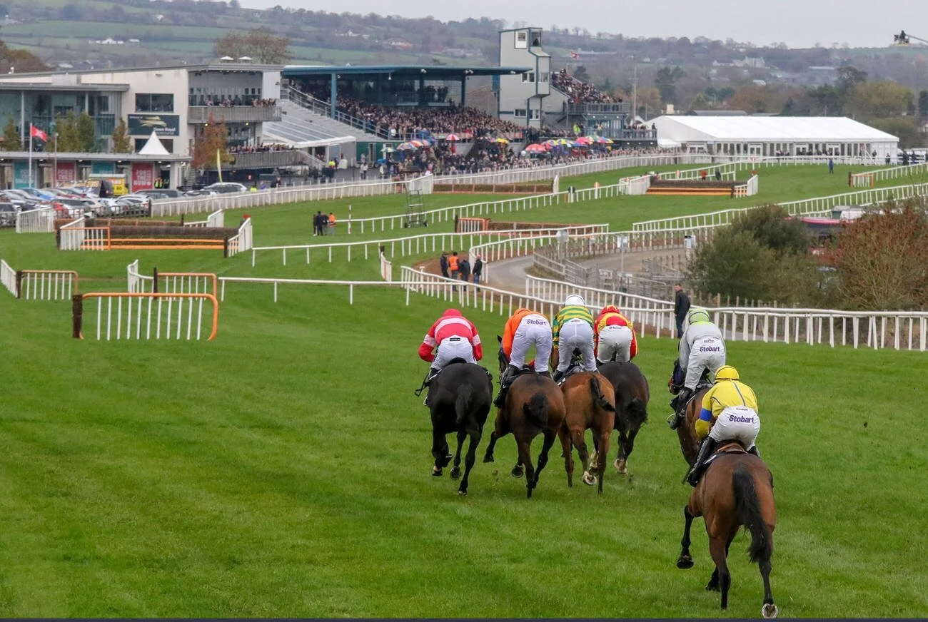 Down Royal racecourse, tradition reborn | Trainer Magazine | European ...