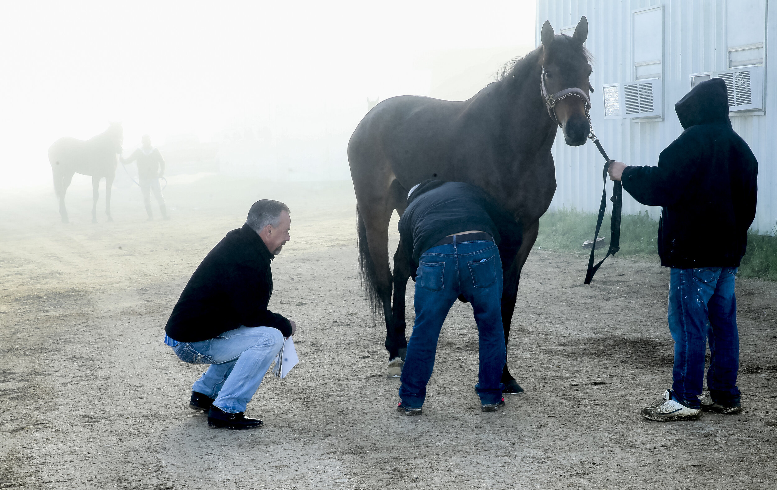 Leading racehorse trainer by winners in 2019, Karl Broberg, in profile ...