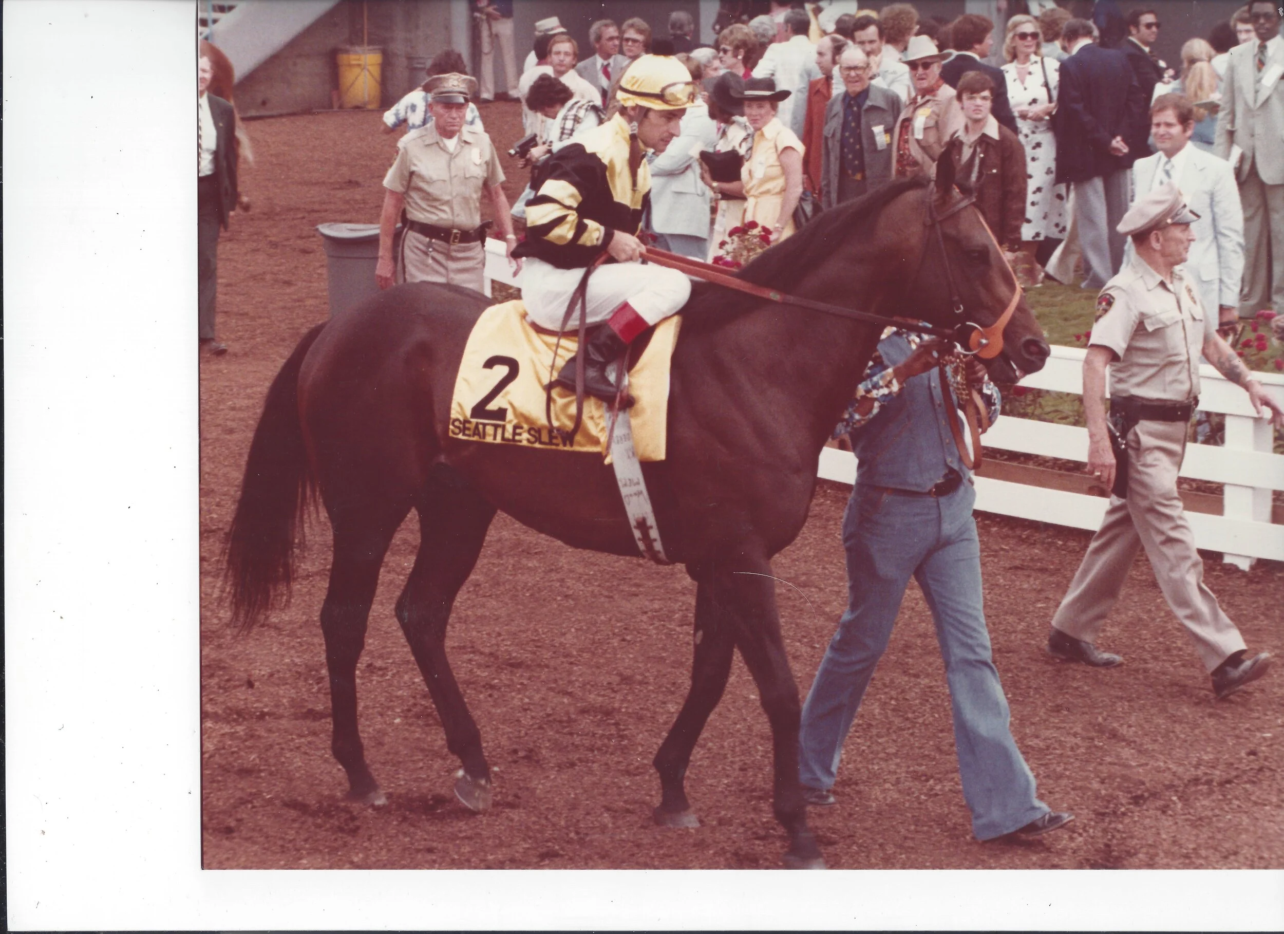 Remembering - Seattle Slew - 1977 Triple Crown winner | Trainer ...