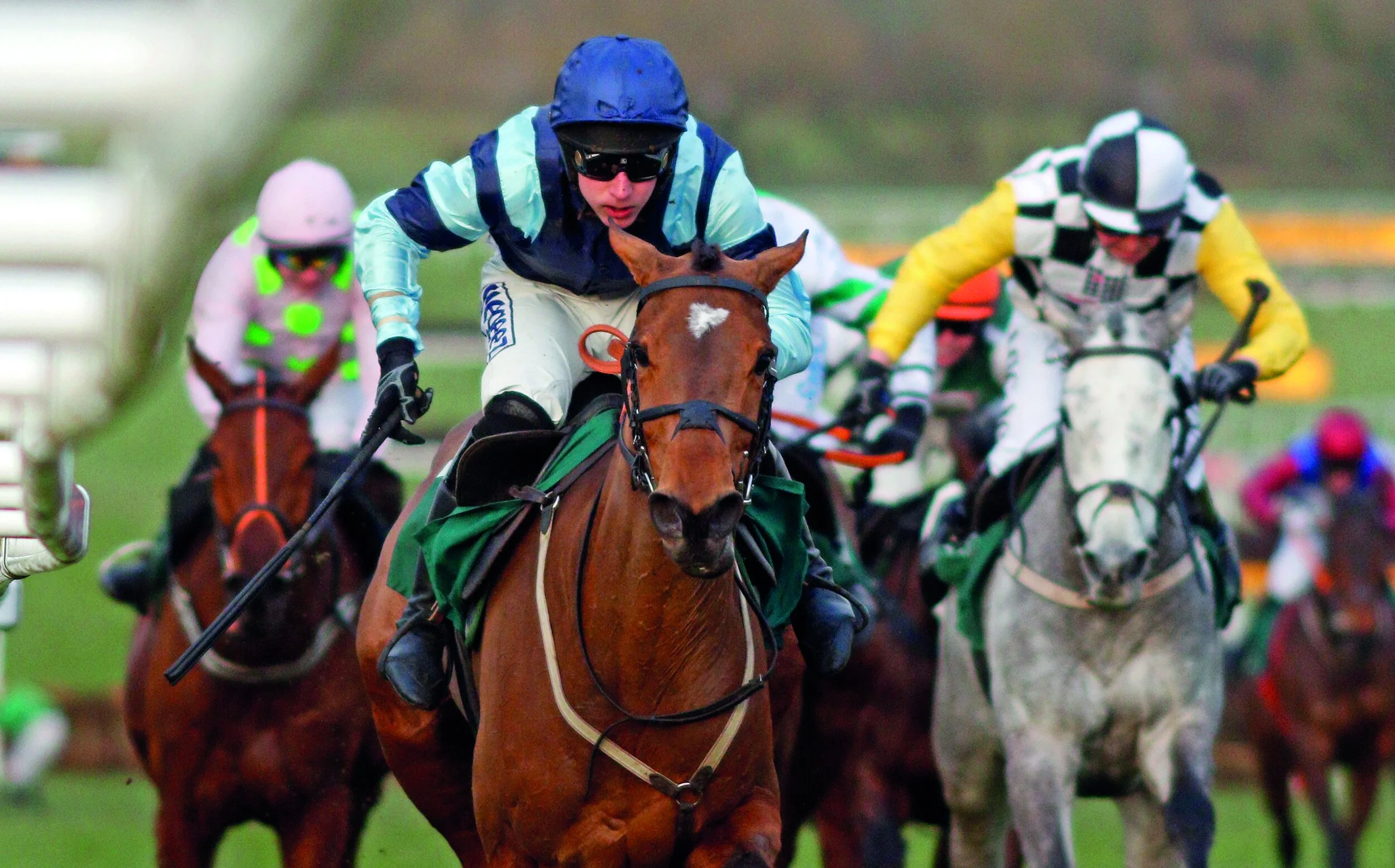 On the bridle - scientific research uncovers performance advantages of ...