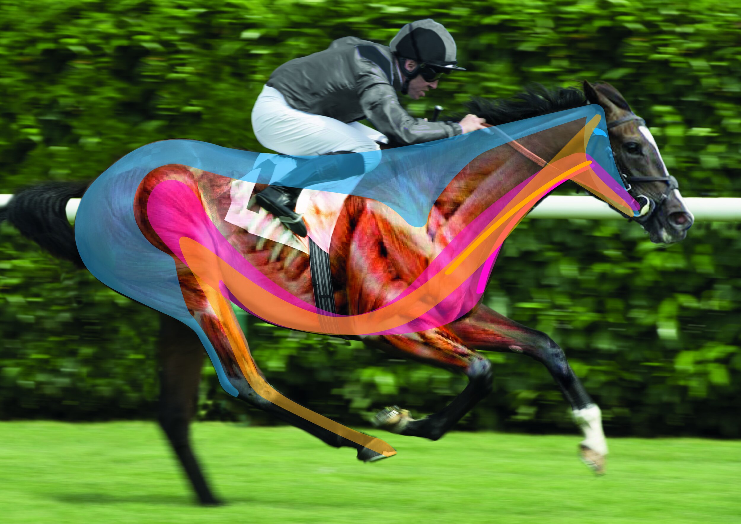 On the bridle - scientific research uncovers performance advantages of ...