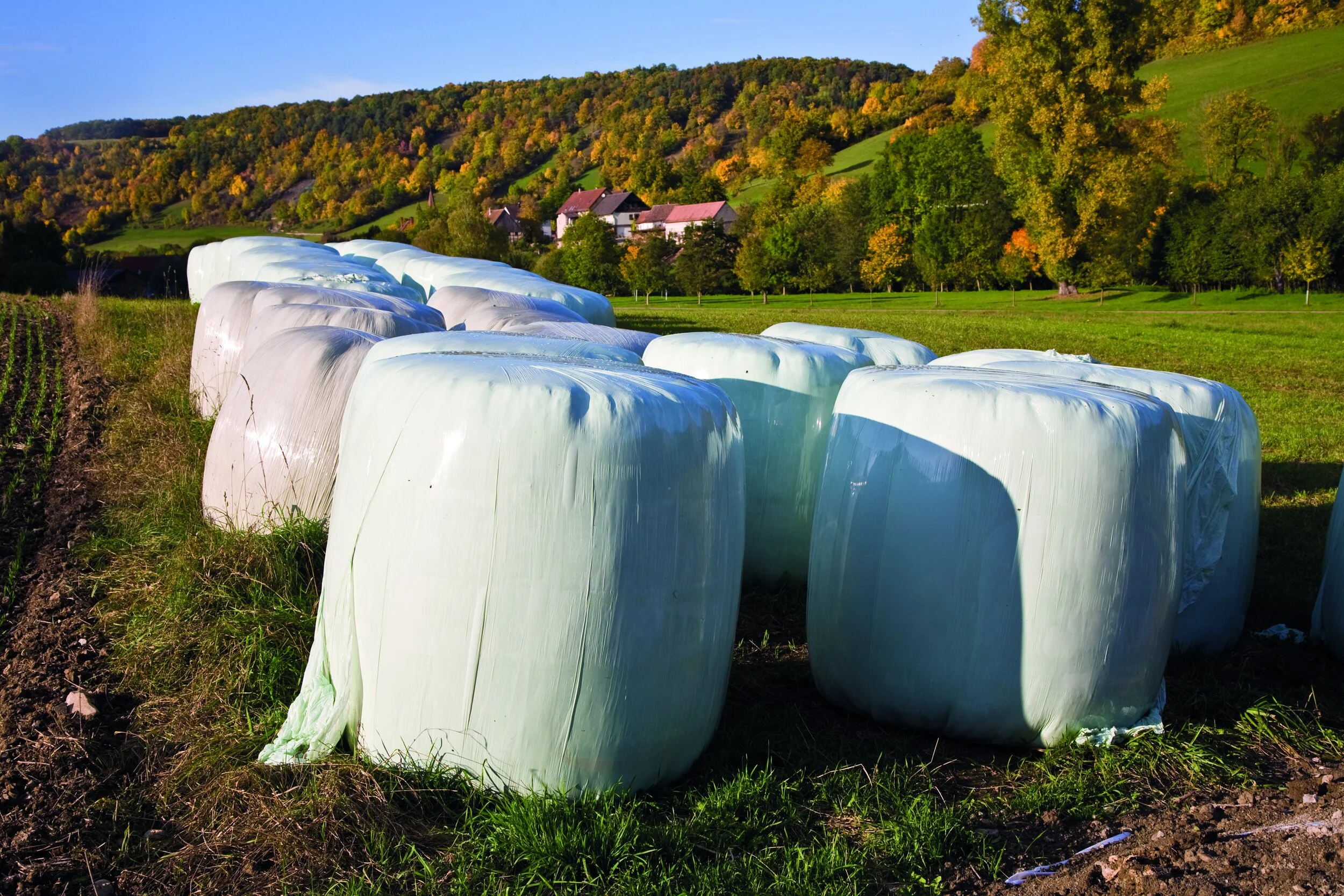 Hay quality - sampling - testing protocols - importance of hay quality ...
