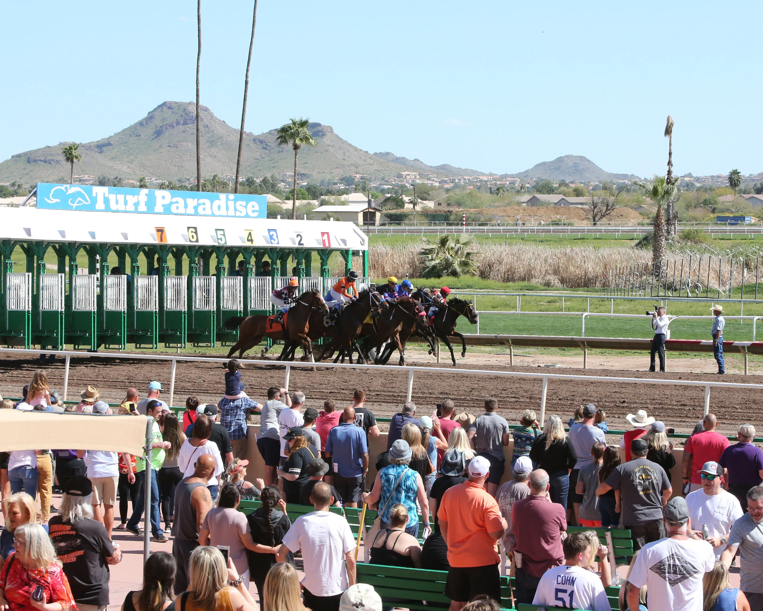 Rising from the ashes - Will racing at Turf Paradise in Phoenix ...