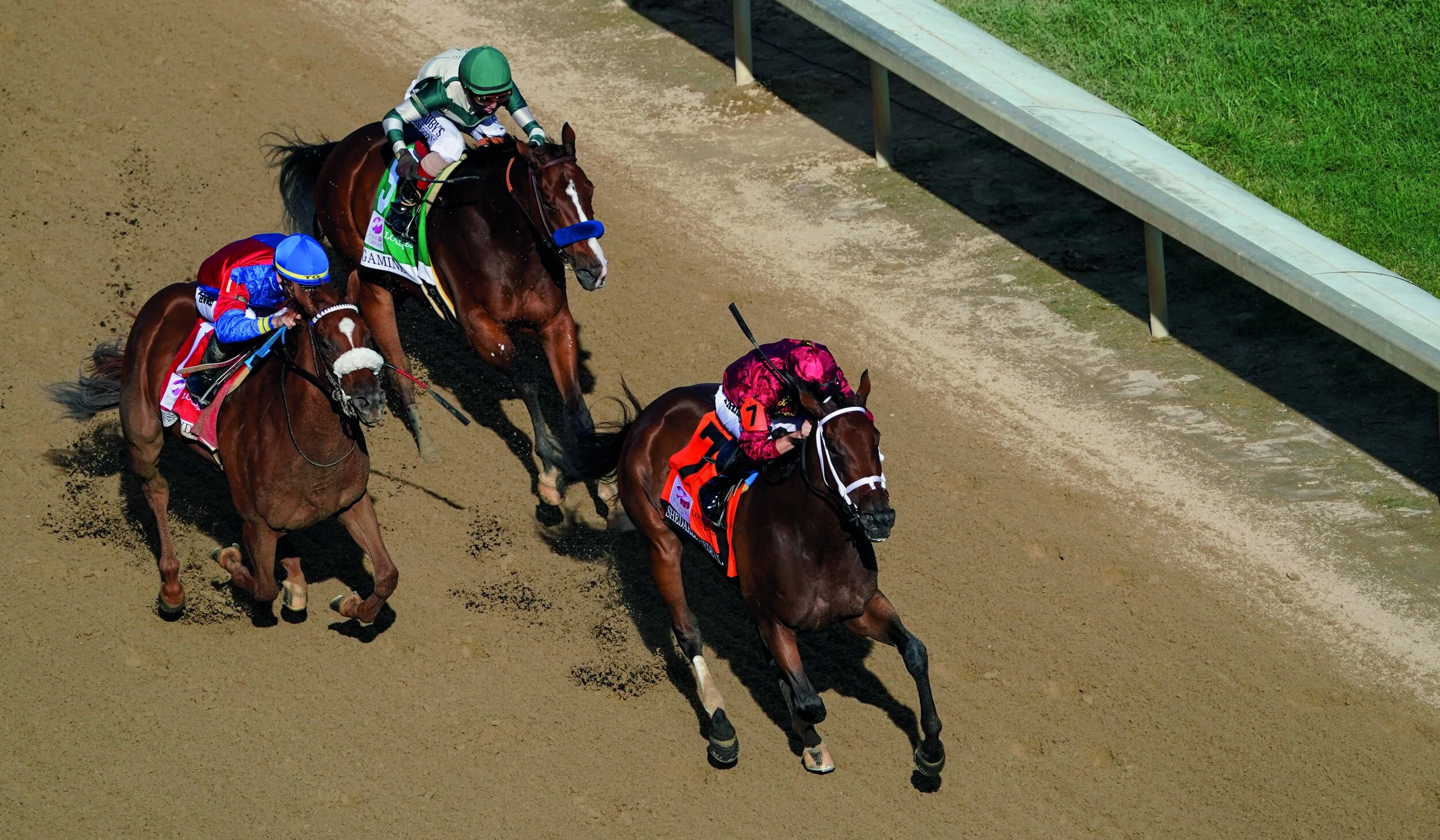 Blue Heaven Farm — North American Article Index | Trainer Magazine