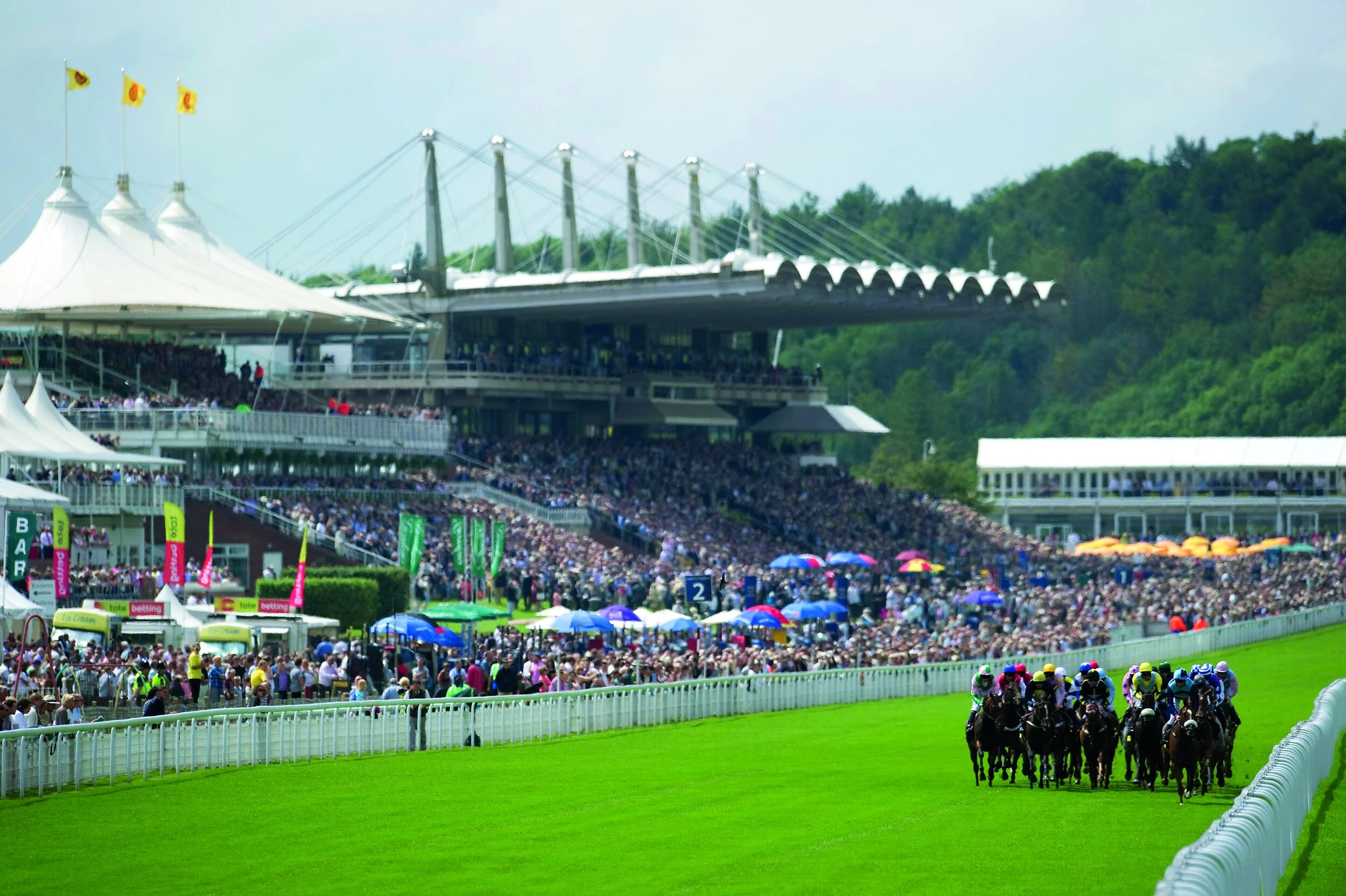 European Pattern Committee - regulating 'black type' races | Trainer ...