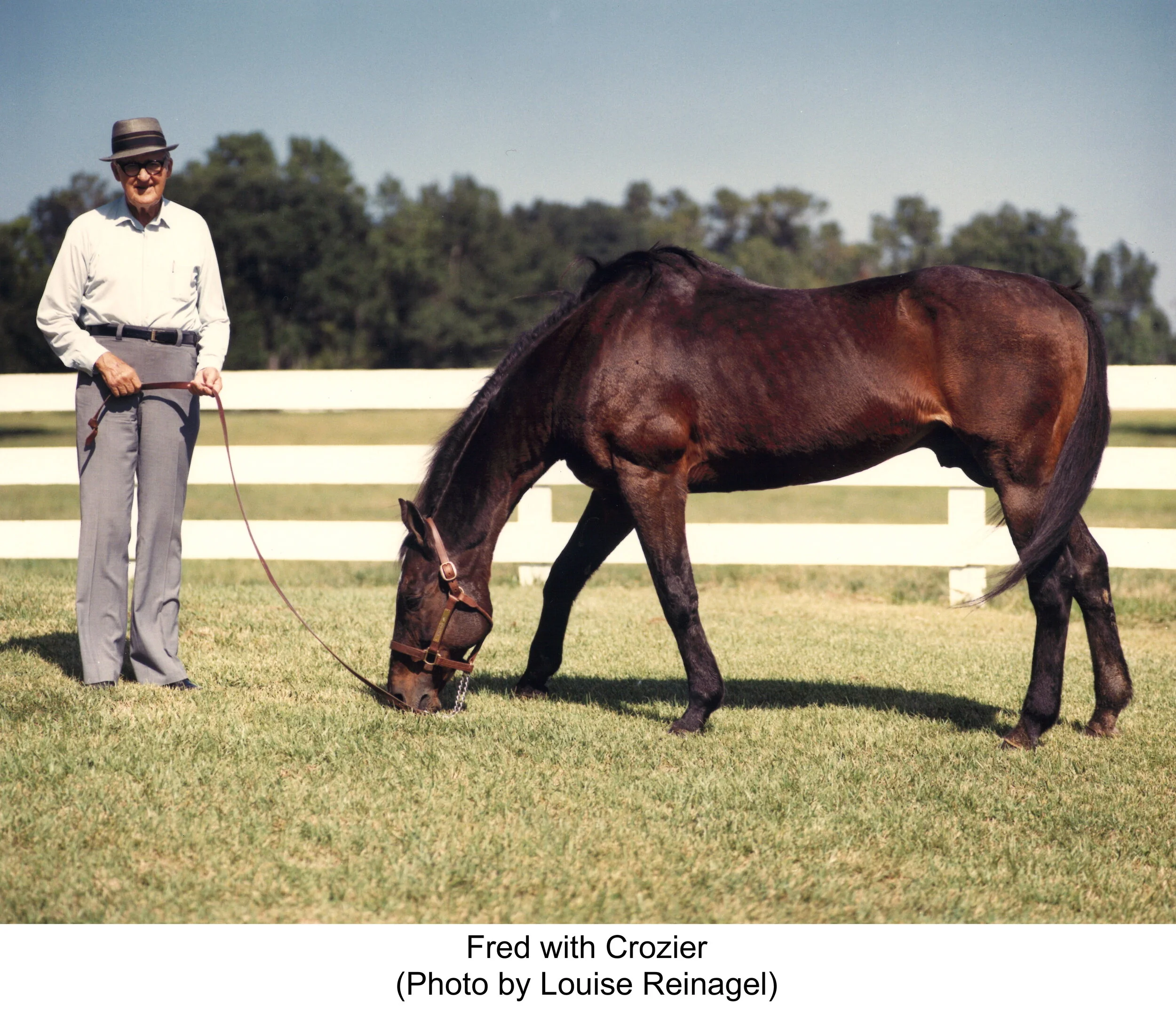 Fred Hooper - The Extraordinary Life of a Thoroughbred Legend | Trainer ...