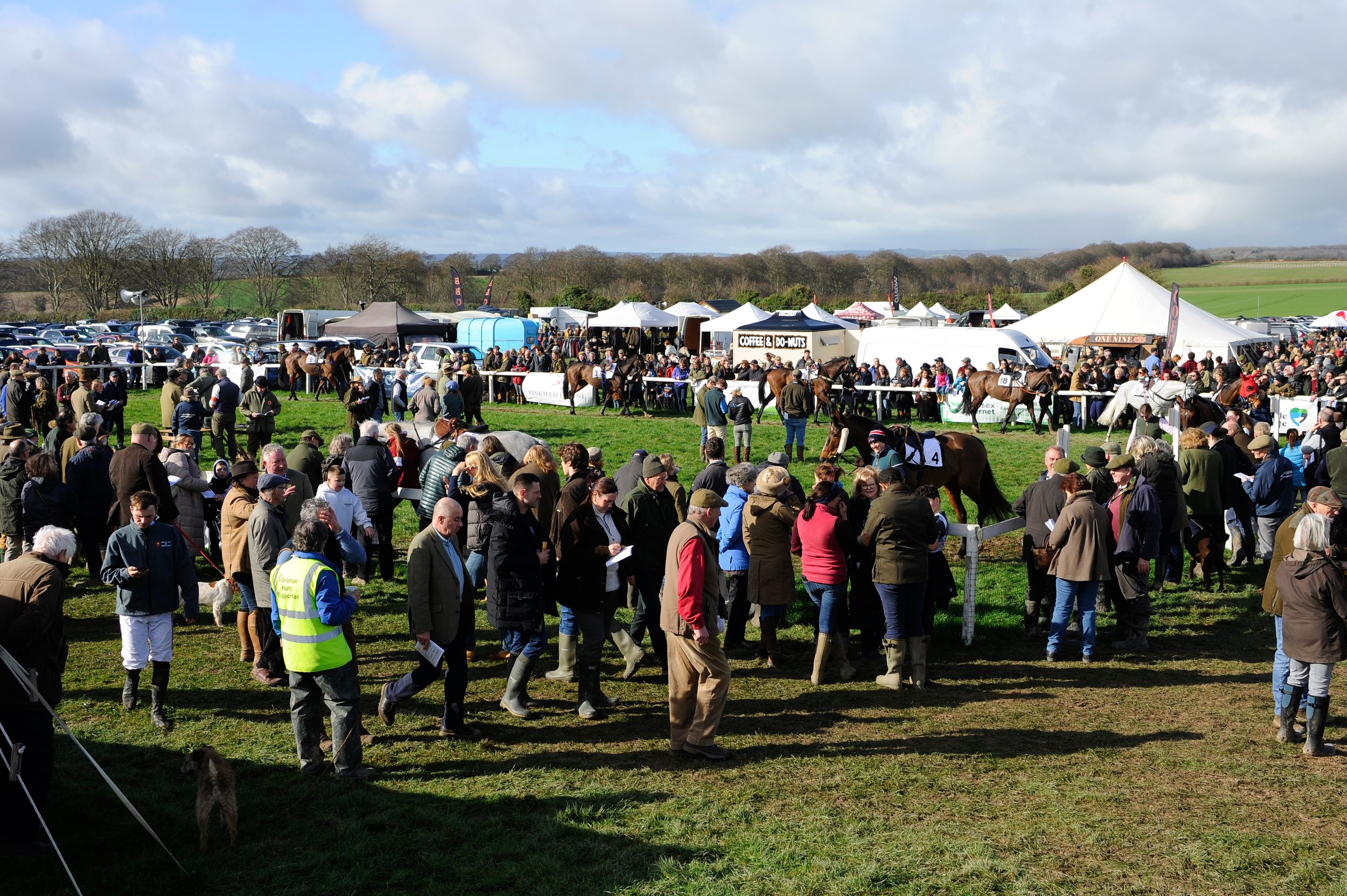 Point-to-Point racing and its role in developing jumpers | Trainer ...