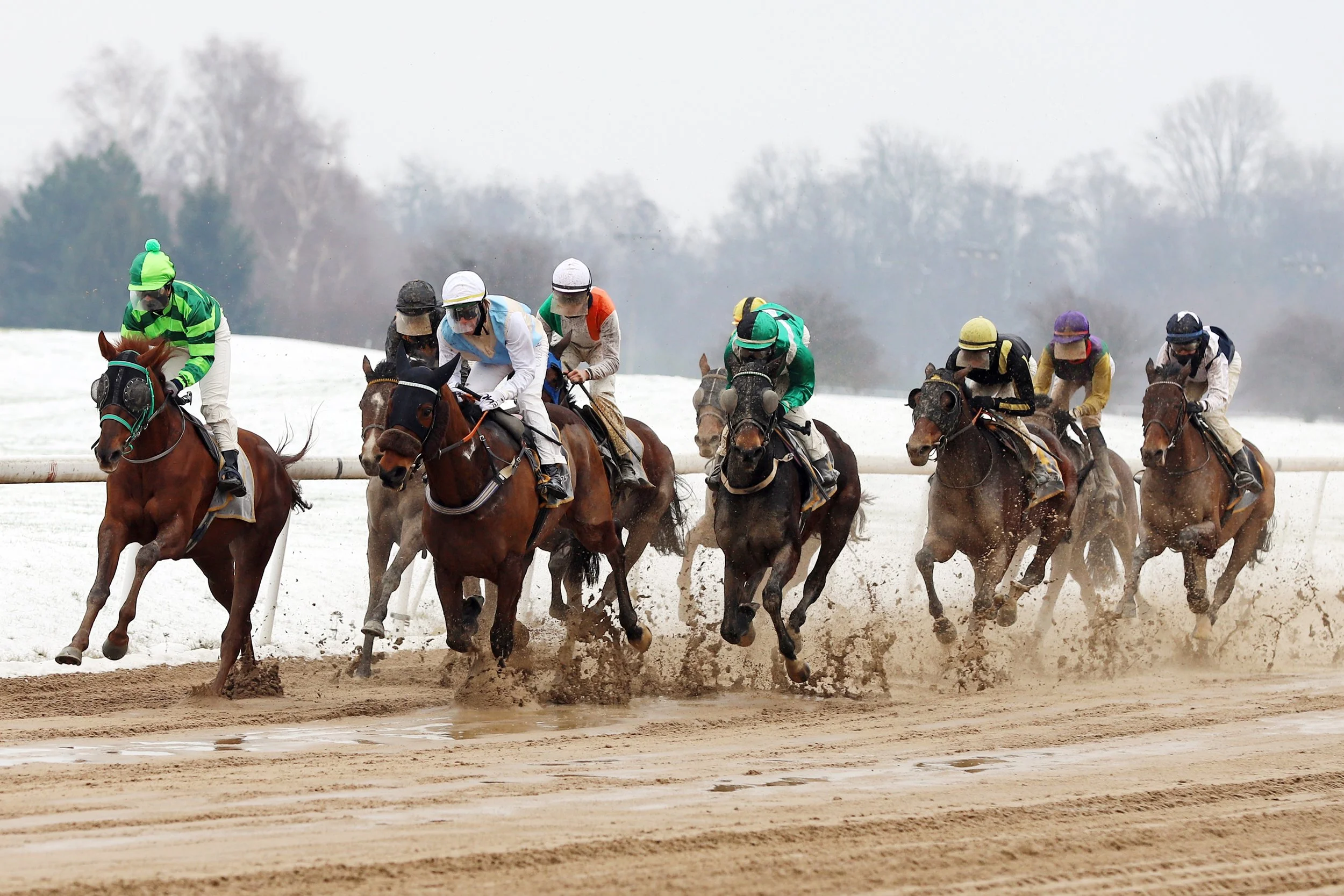 Investing in All Weather racing | Trainer Magazine | European Trainer ...