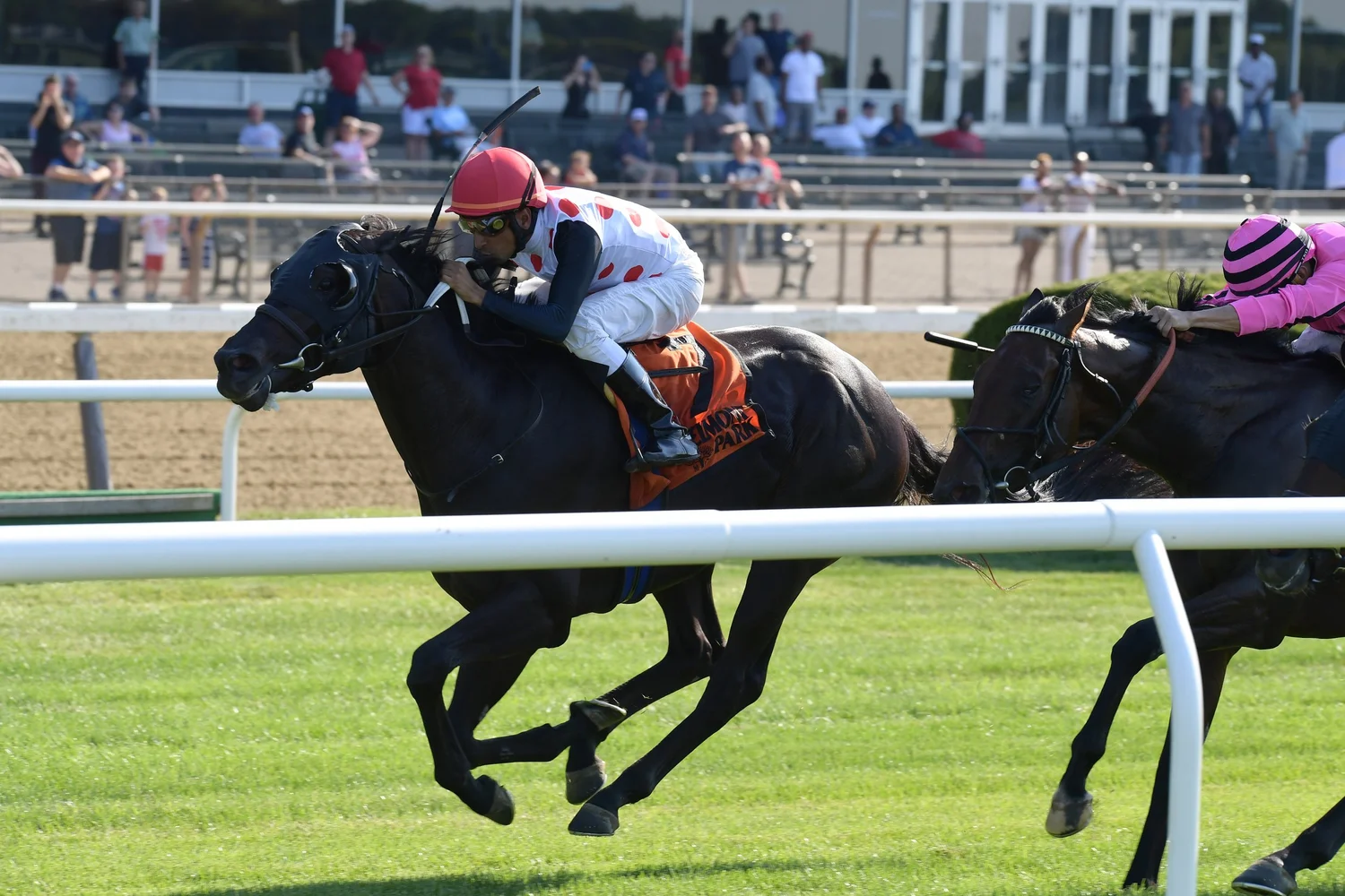 Bloodstock Briefing - examining the sire lines which are no longer ...