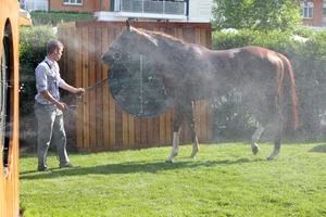 Thermoregulation in horses | Trainer Magazine | European Trainer ...