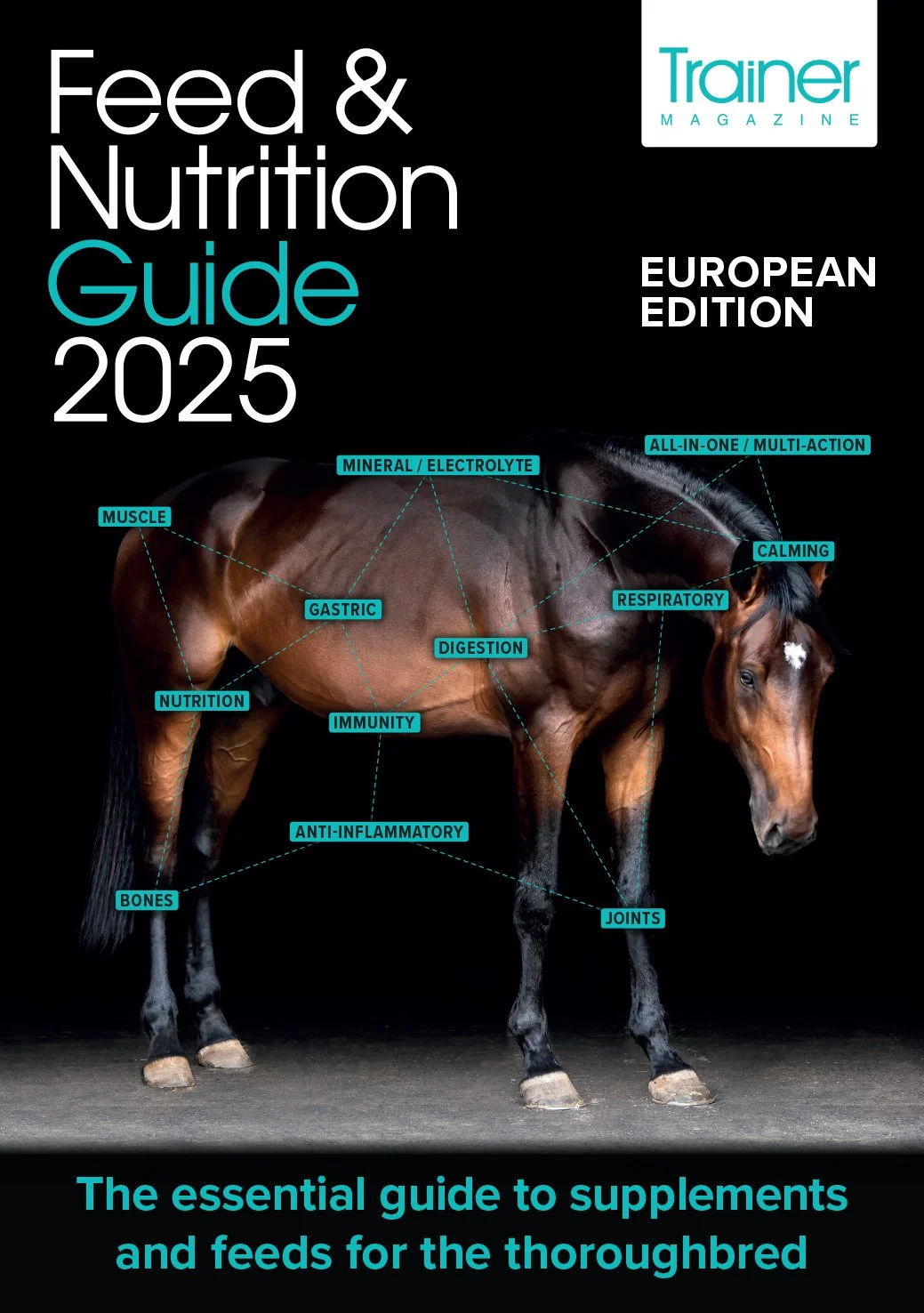 Trainer Magazine | Trainer - Europe & North America