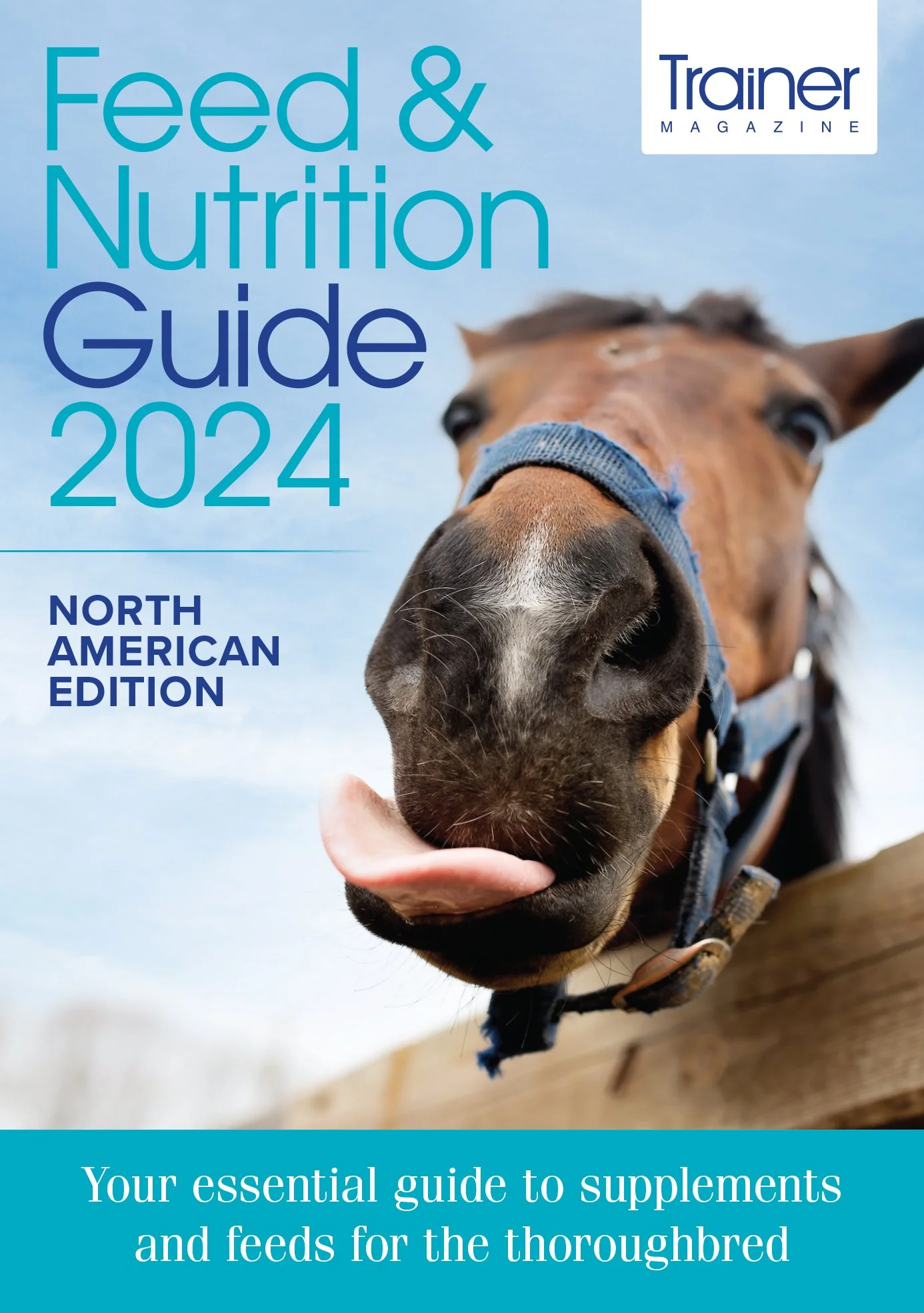 Trainer Magazine | Trainer - Europe & North America