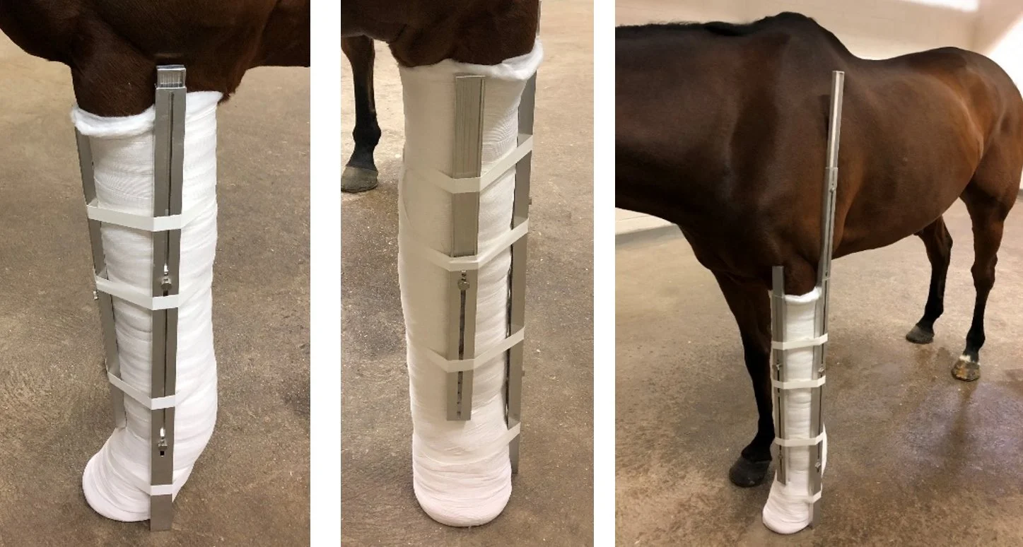 European Trainer Article Index | Trainer Magazine