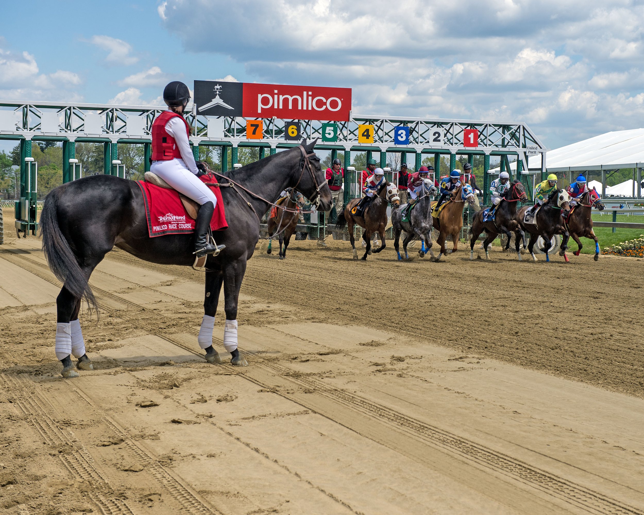 A new Pimlico for the Old Line state | Trainer Magazine | North ...