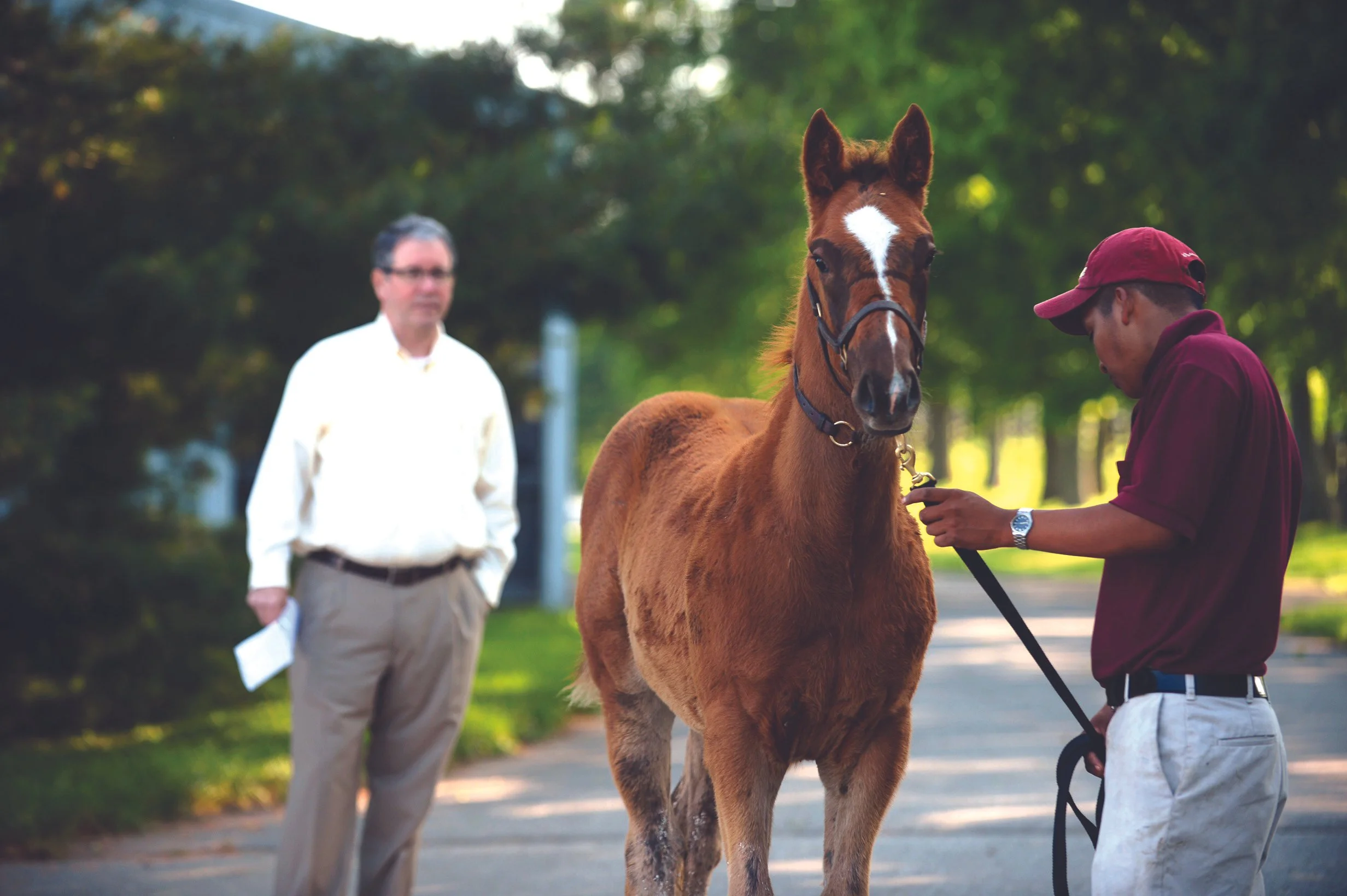 State Breeding Incentives for 2024 - on a state by state basis ...