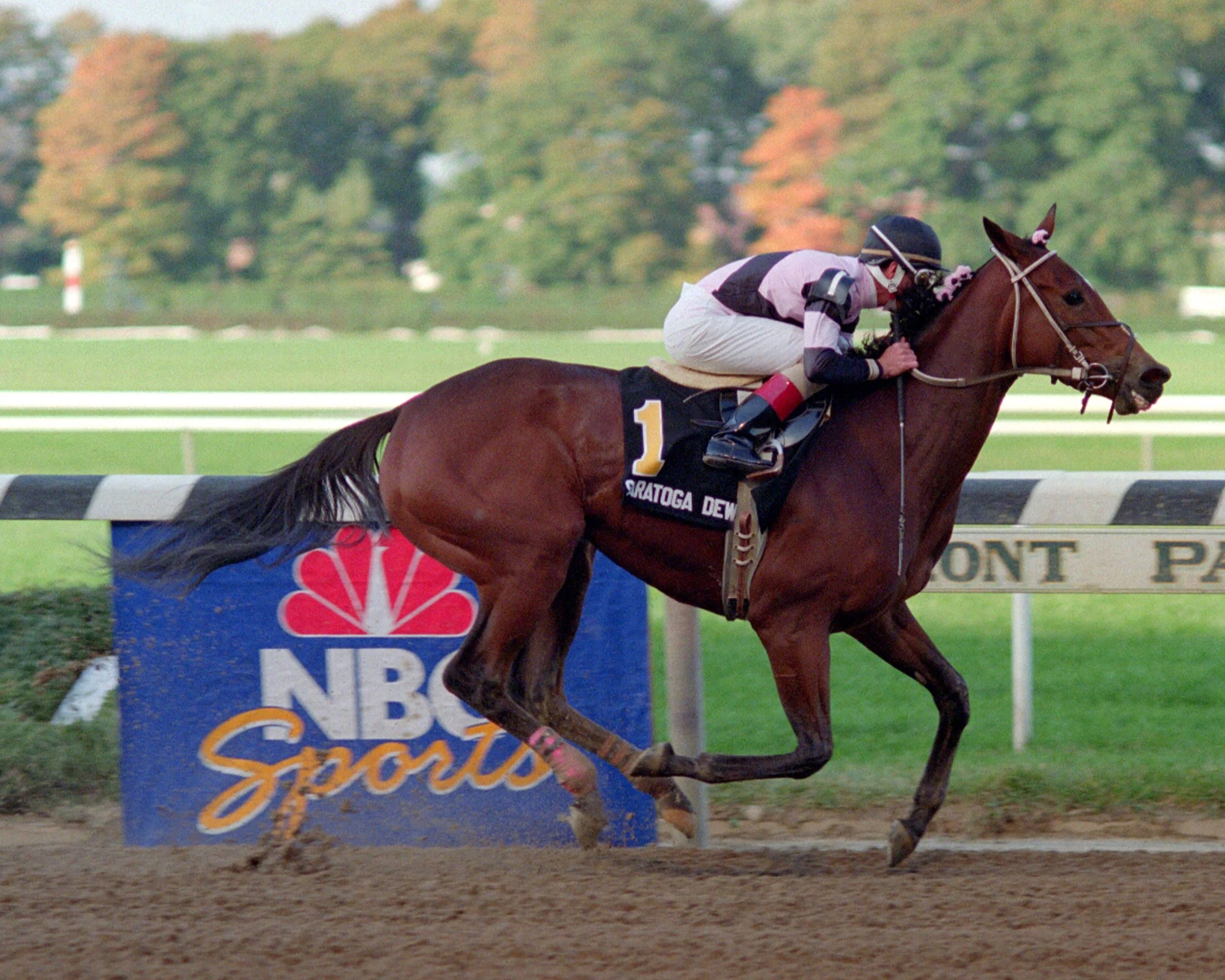 Golden anniversaries - The New York State Thoroughbred Breeding and ...
