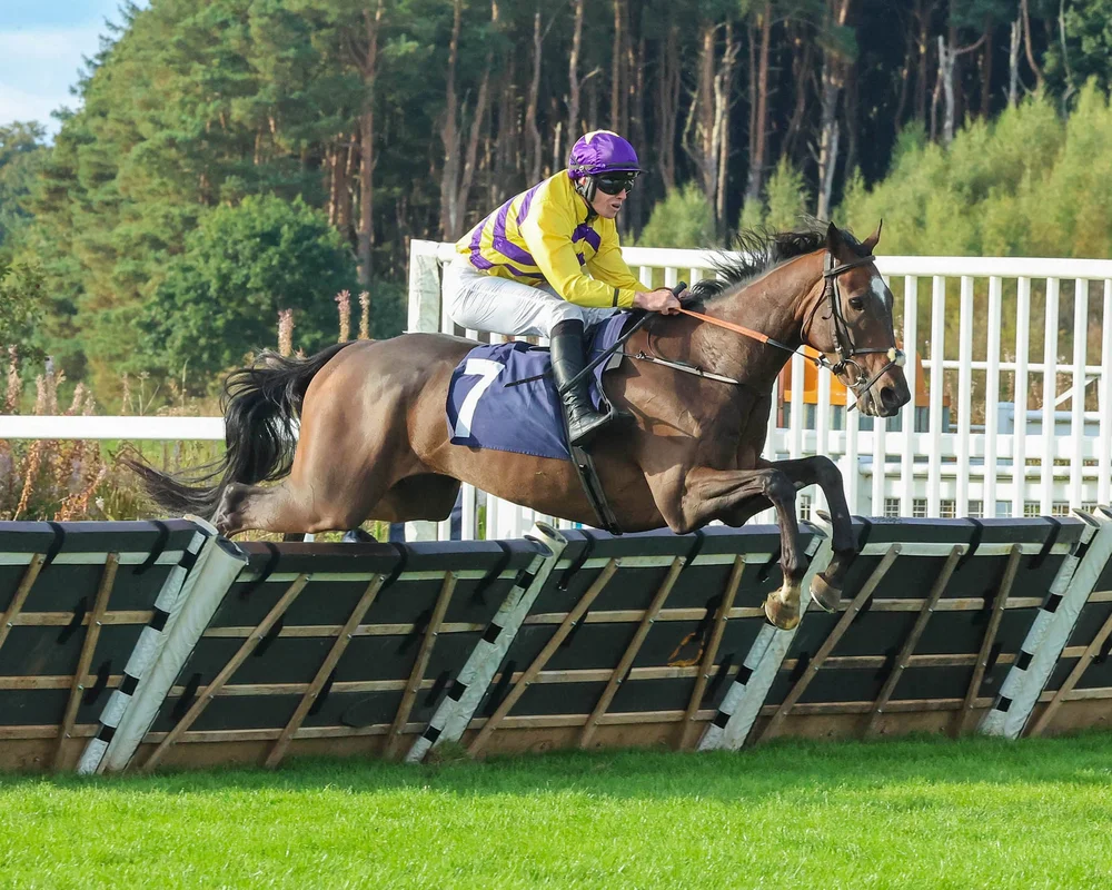 TopSpec Trainer of the Quarter - Noel Kelly | Trainer Magazine ...