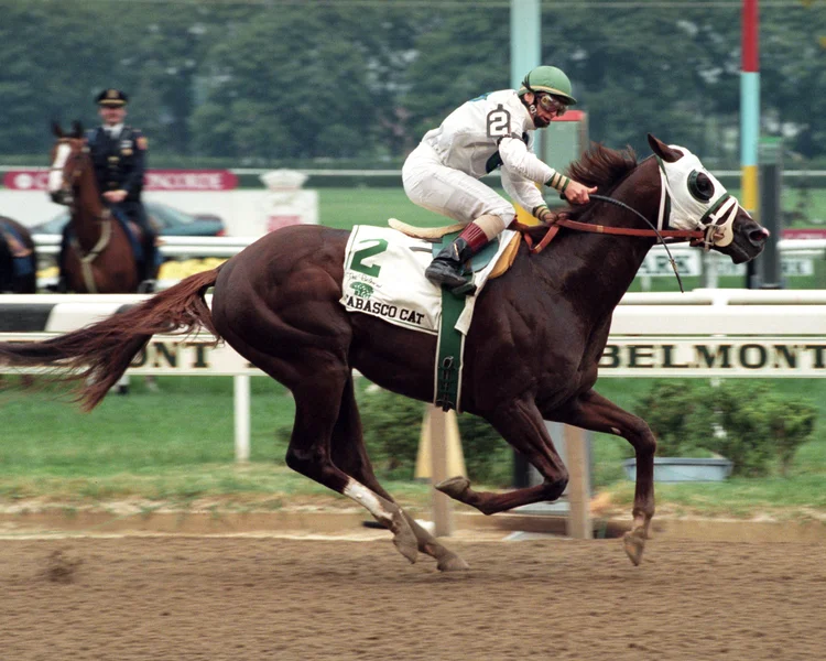 The legacy Storm Cat has left on the Triple Crown series | Trainer ...