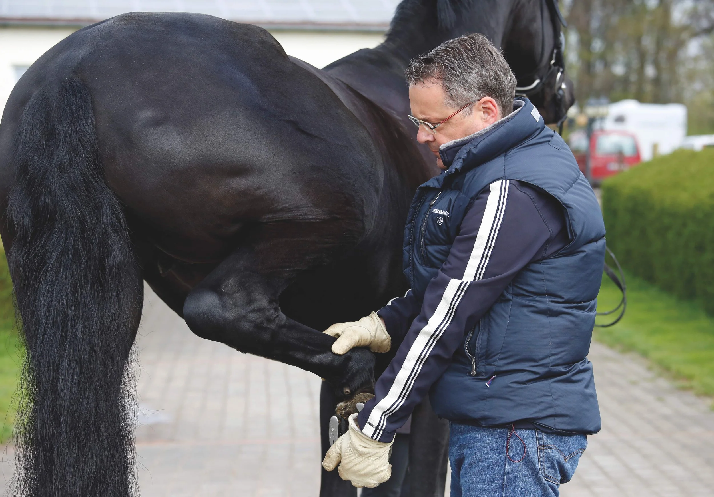 The importance of the Sacroiliac joint | Trainer Magazine | European ...