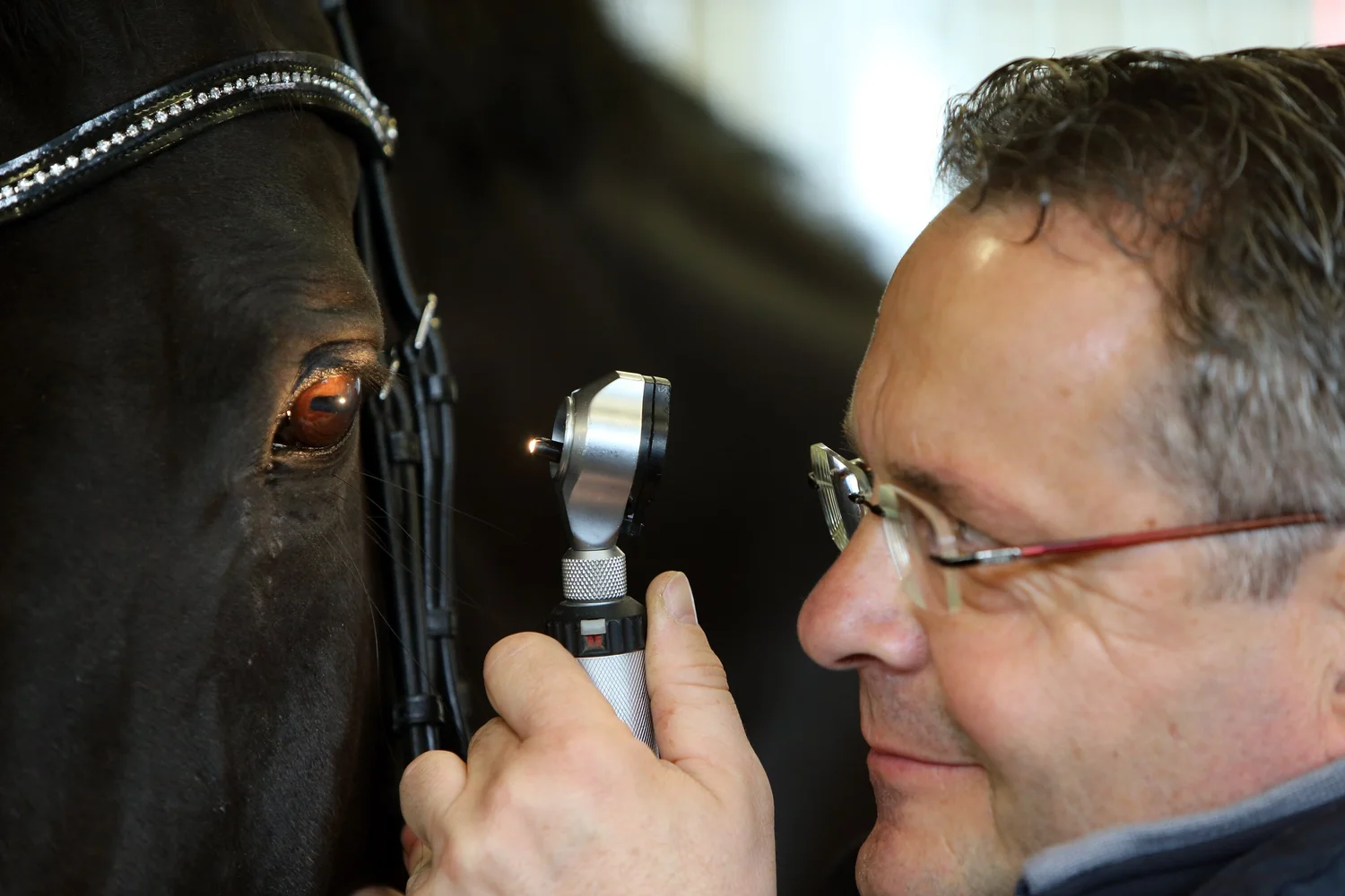 There’s more to it than meets the eye | Trainer Magazine | North ...