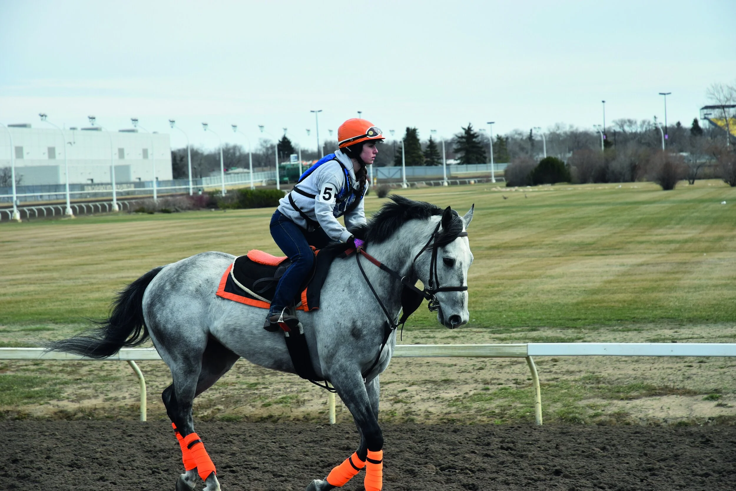 What Does It Take to Become a Jockey? | Trainer Magazine | North ...