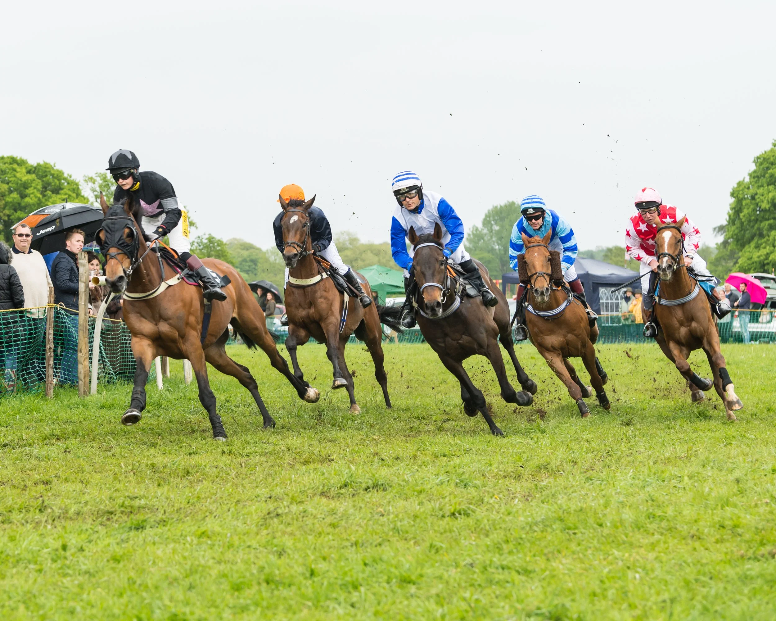 Point-to-Point racing and its role in developing jumpers | Trainer ...
