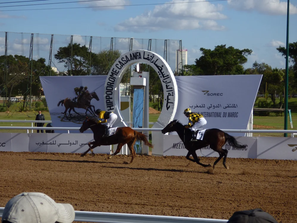 International racing returns to Morocco | Trainer Magazine | European ...