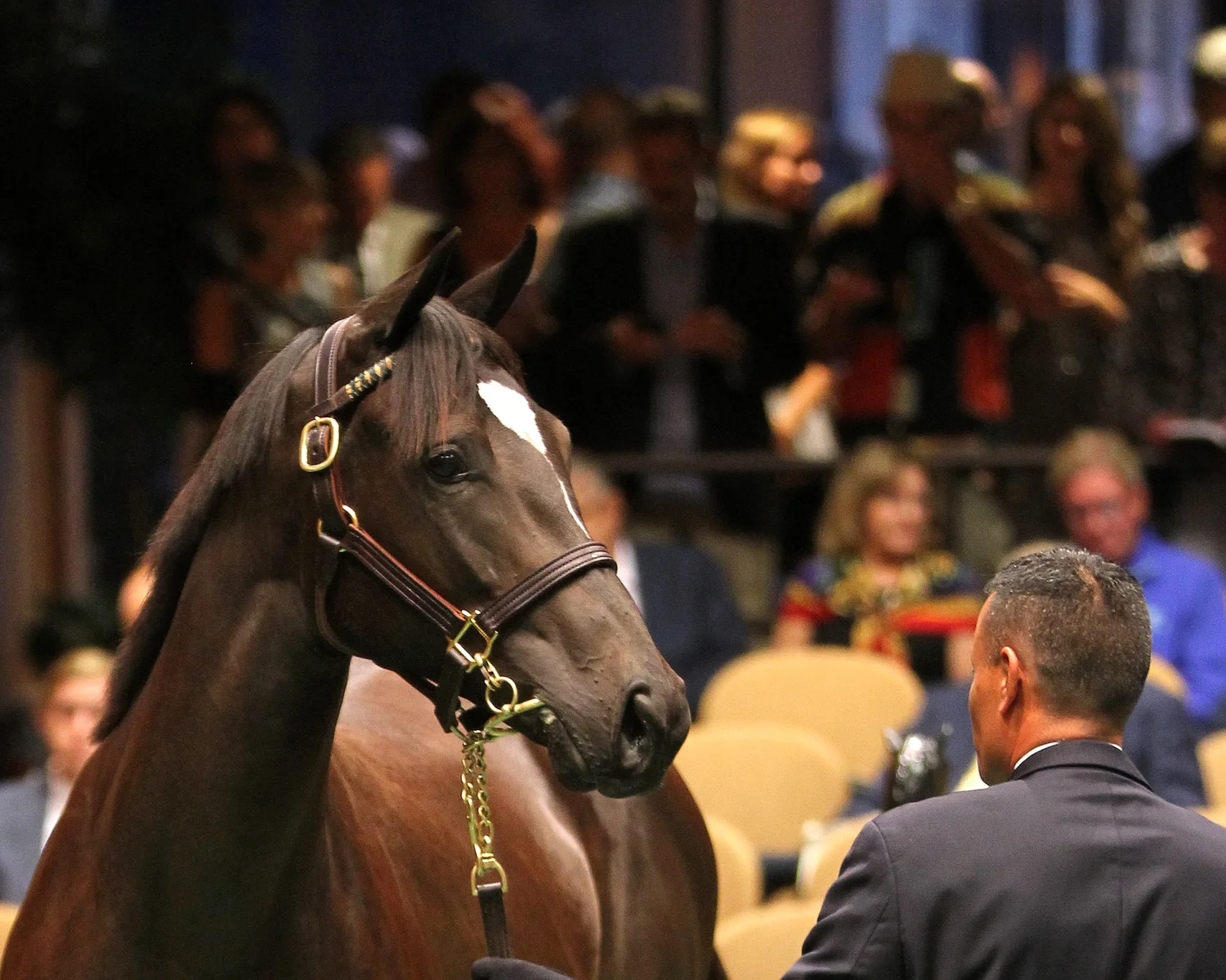 Bloodstock Briefing - examining the sire lines which are no longer ...