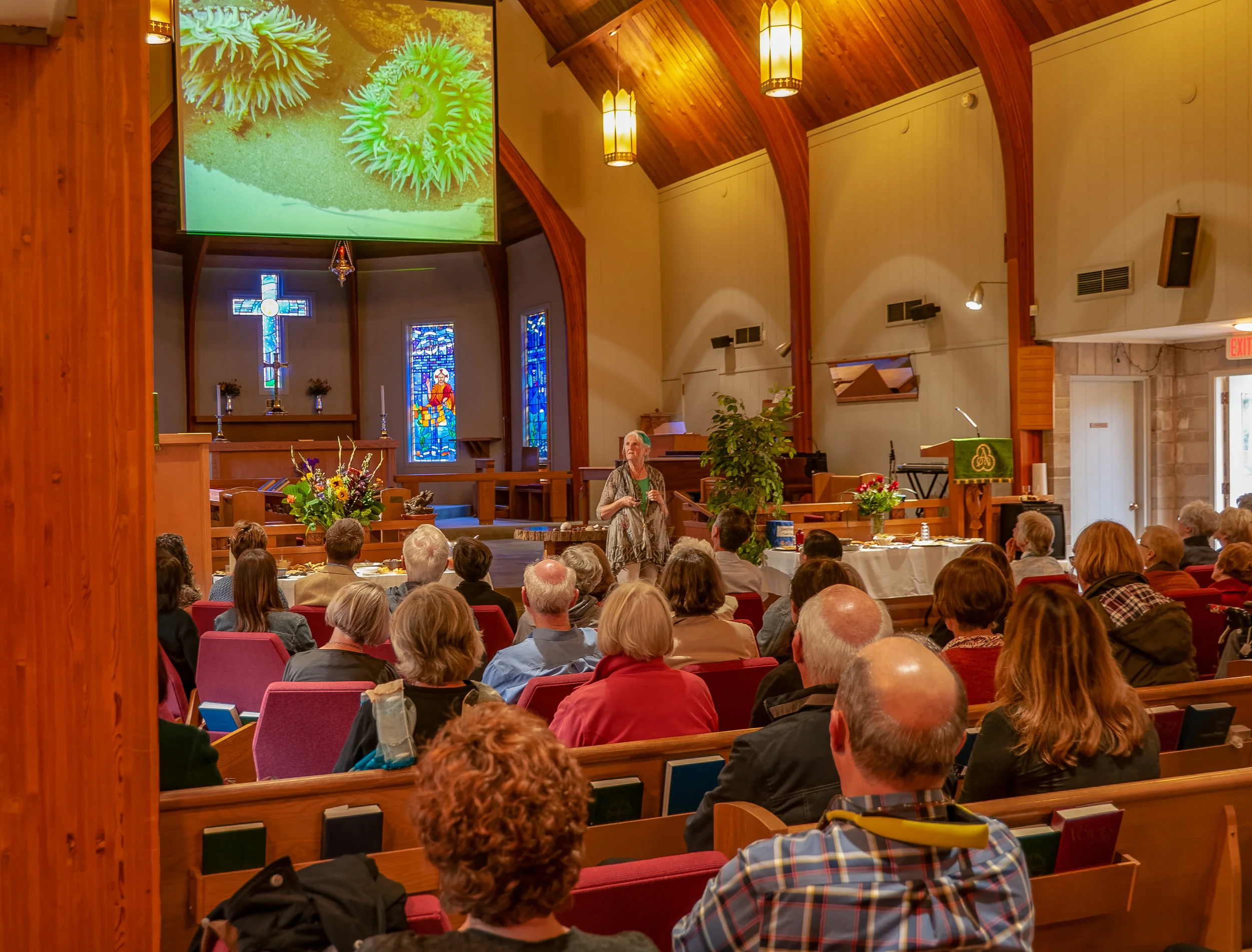 Painting — Jill Ehlert