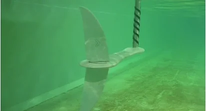 vaughan hoy studio blog — Life is not symmetrical........keep dreaming