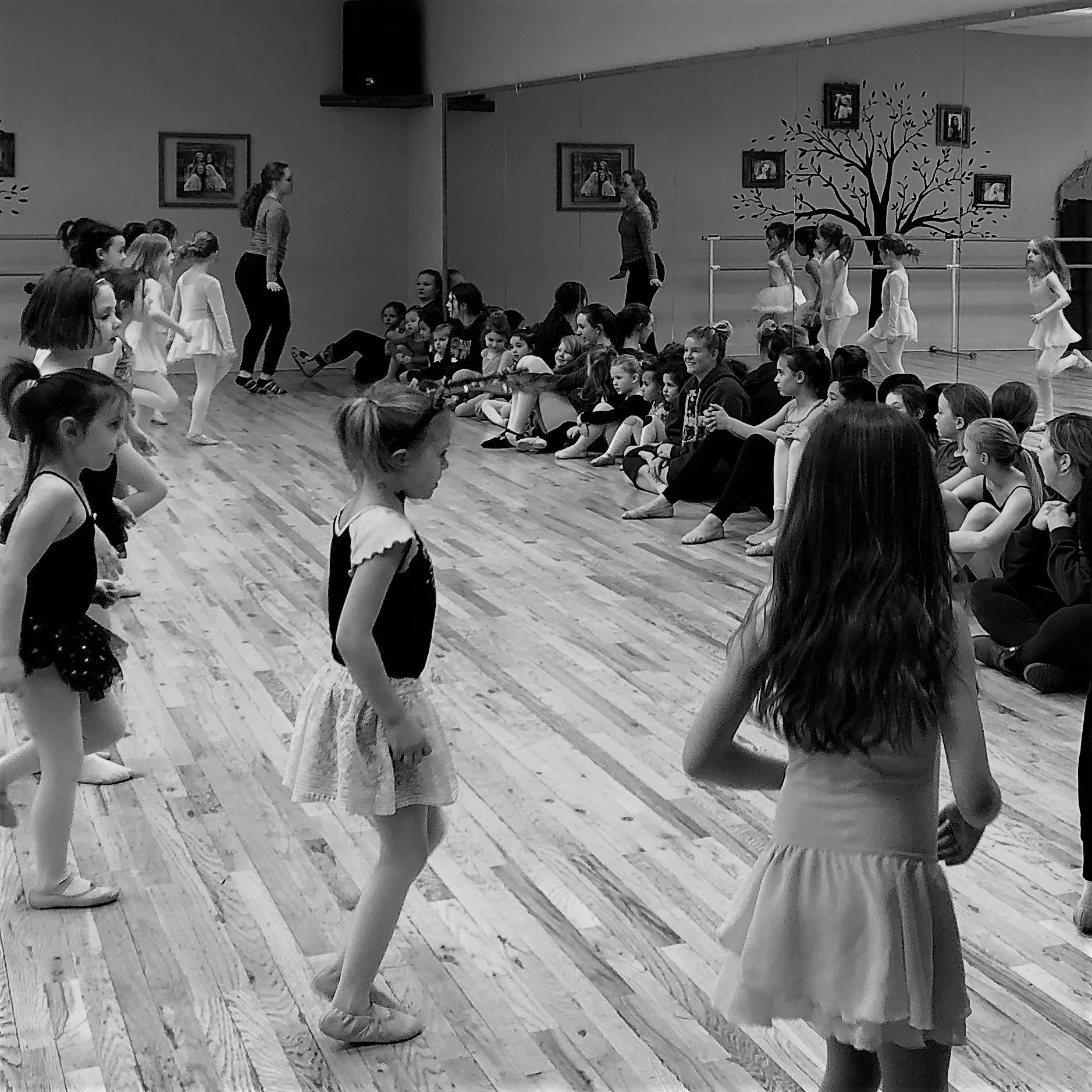 Metropolitan Dance Alliance | Shakopee, Minnesota