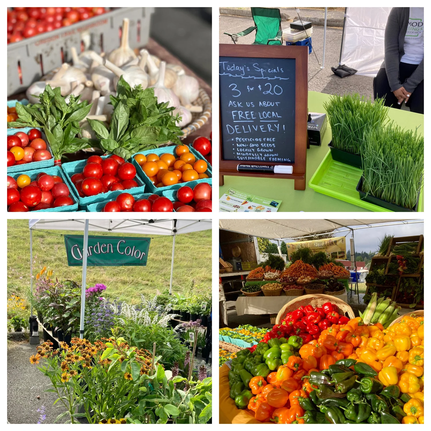 Local Farmers Market Stand