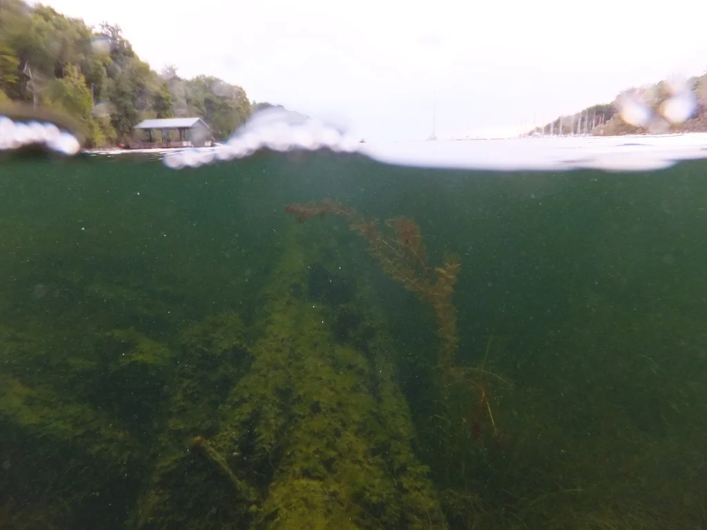 David Gibbins — Diving the wreck of HMS Prince Regent (1814), Kingston ...