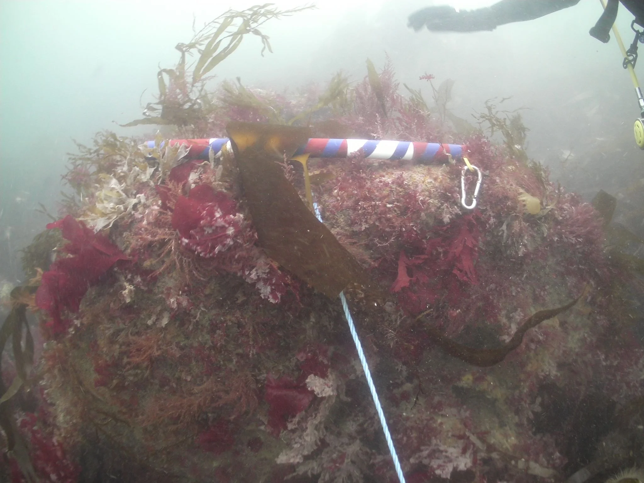 David Gibbins — The wreck of HMS Primrose, Cornwall, England, 22 ...