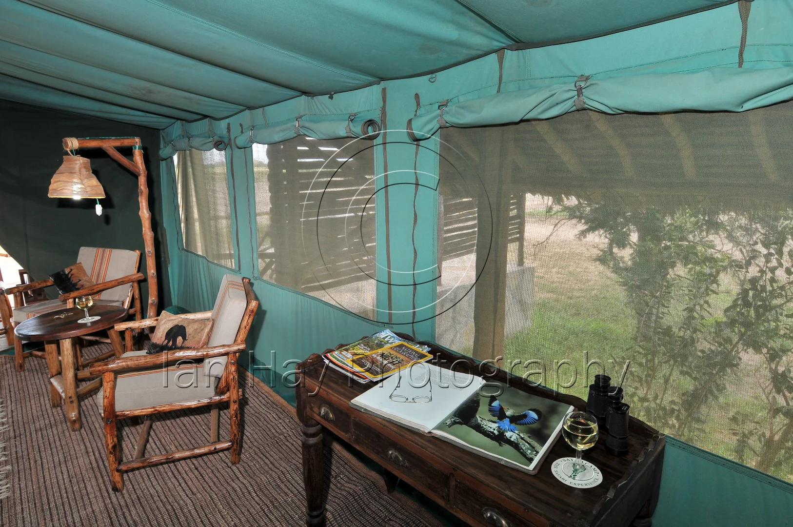 Wildlife — Ian Hay Photography