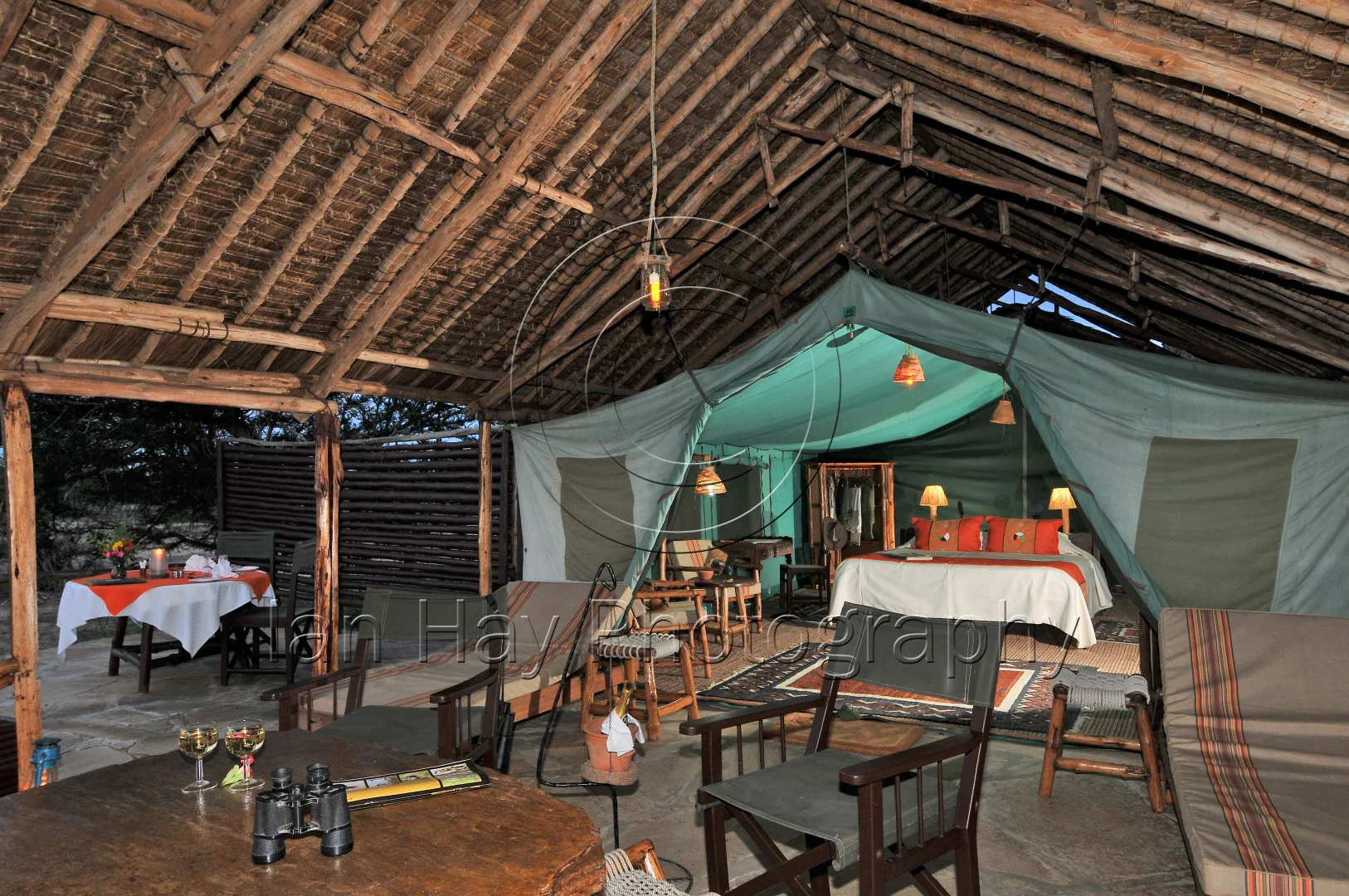 Wildlife — Ian Hay Photography