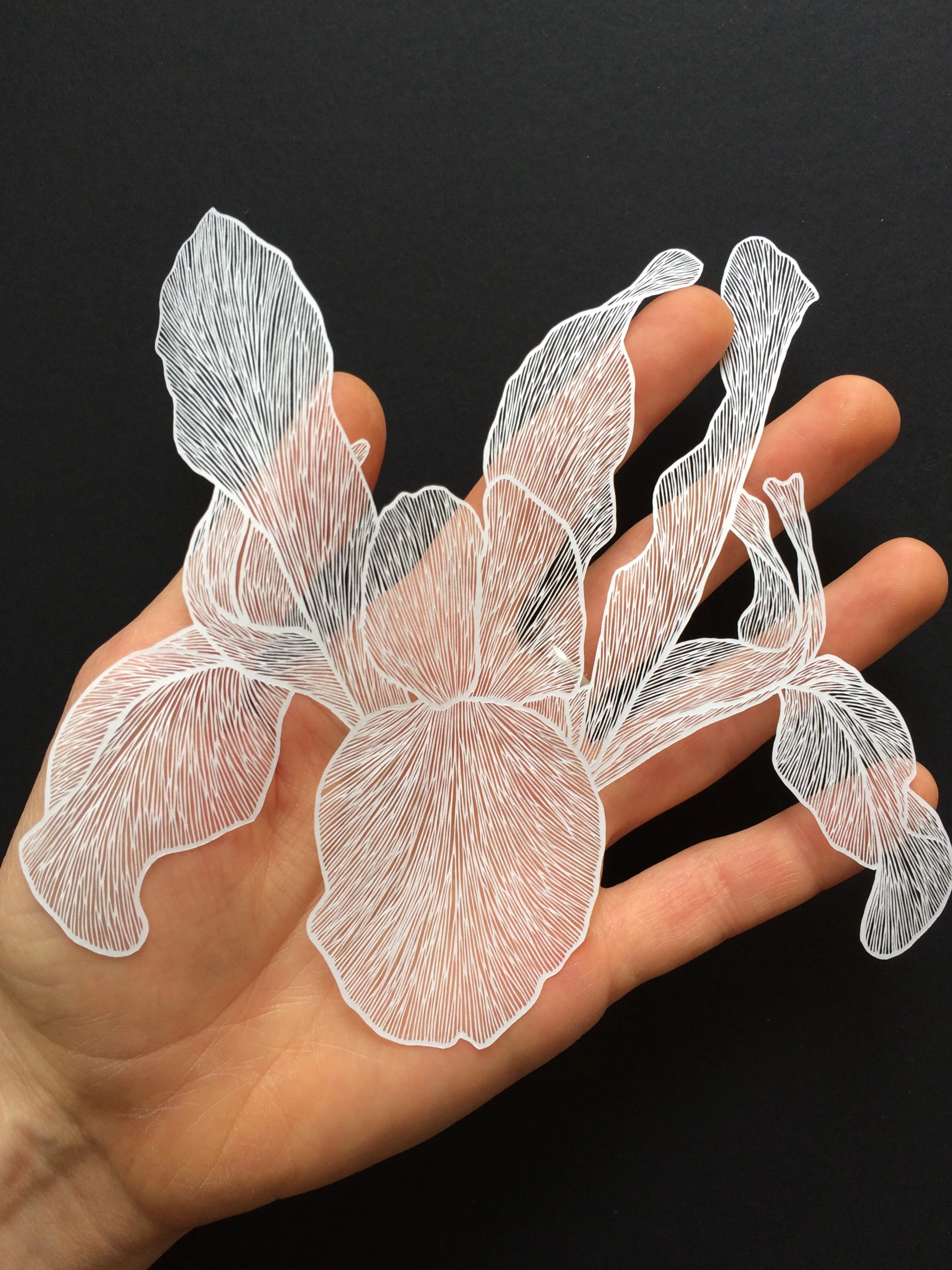 Flowers — Maude White