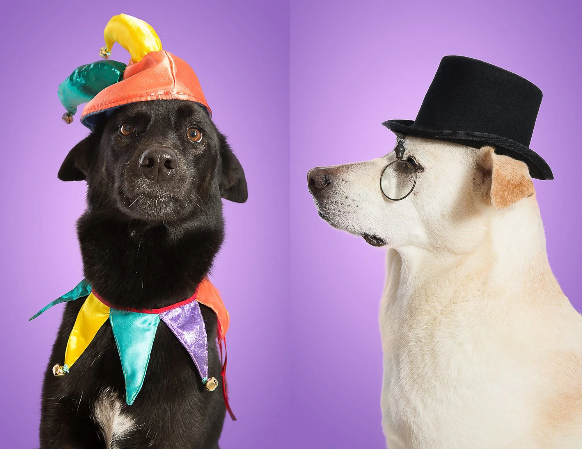 Commercial Advertising Photographer - Dynamite Studio, Inc.