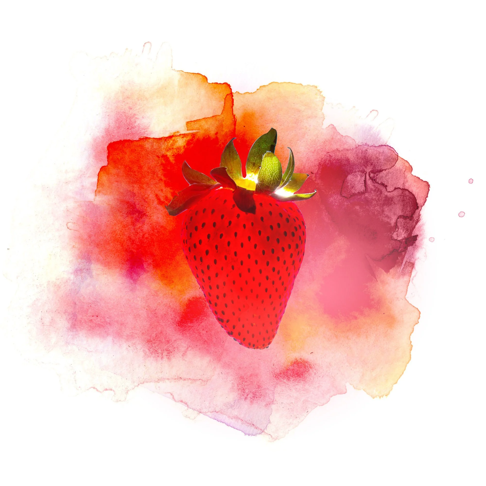 Commercial Advertising Photographer - Dynamite Studio, Inc.