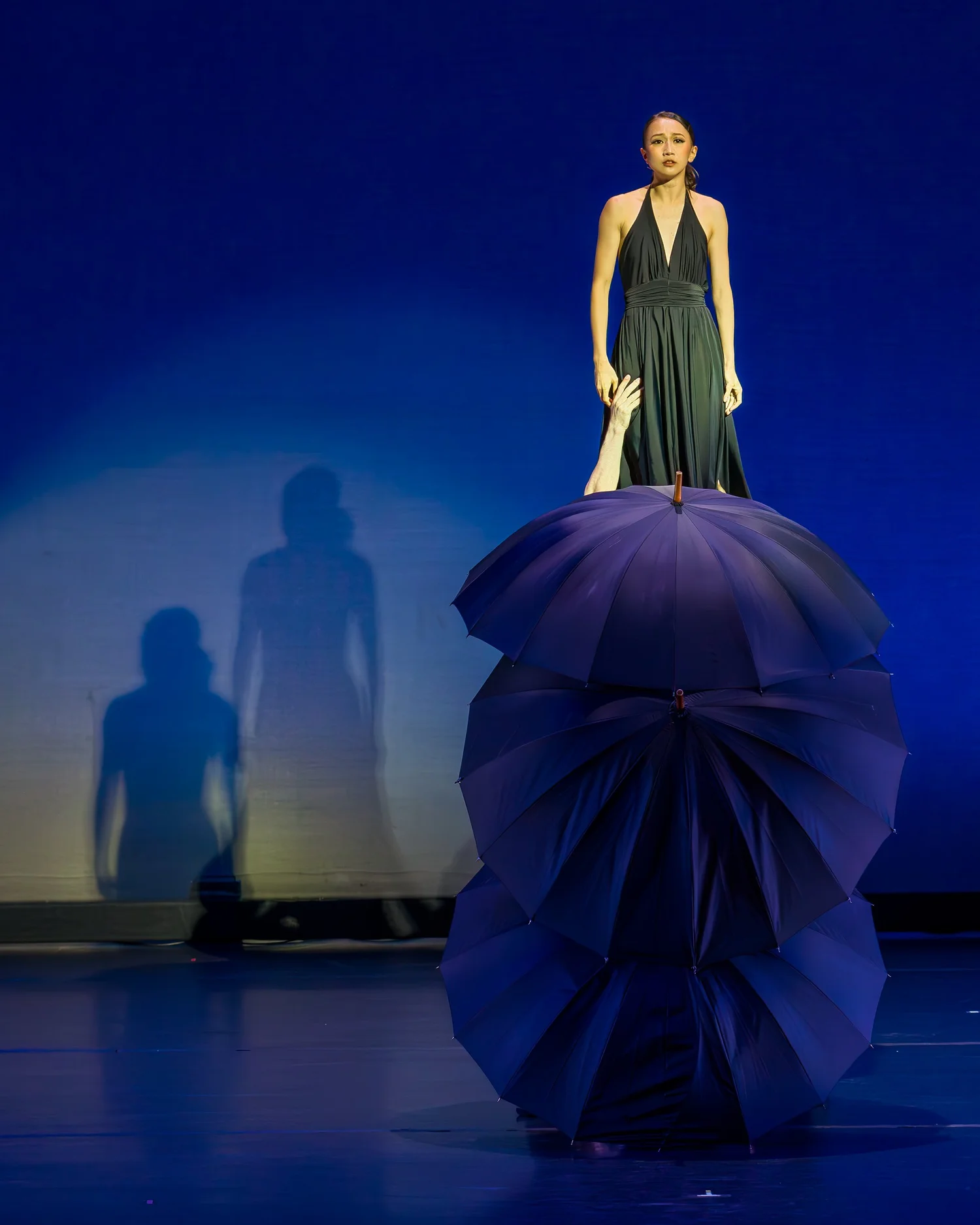 Terpsicorps Theatre of Dance