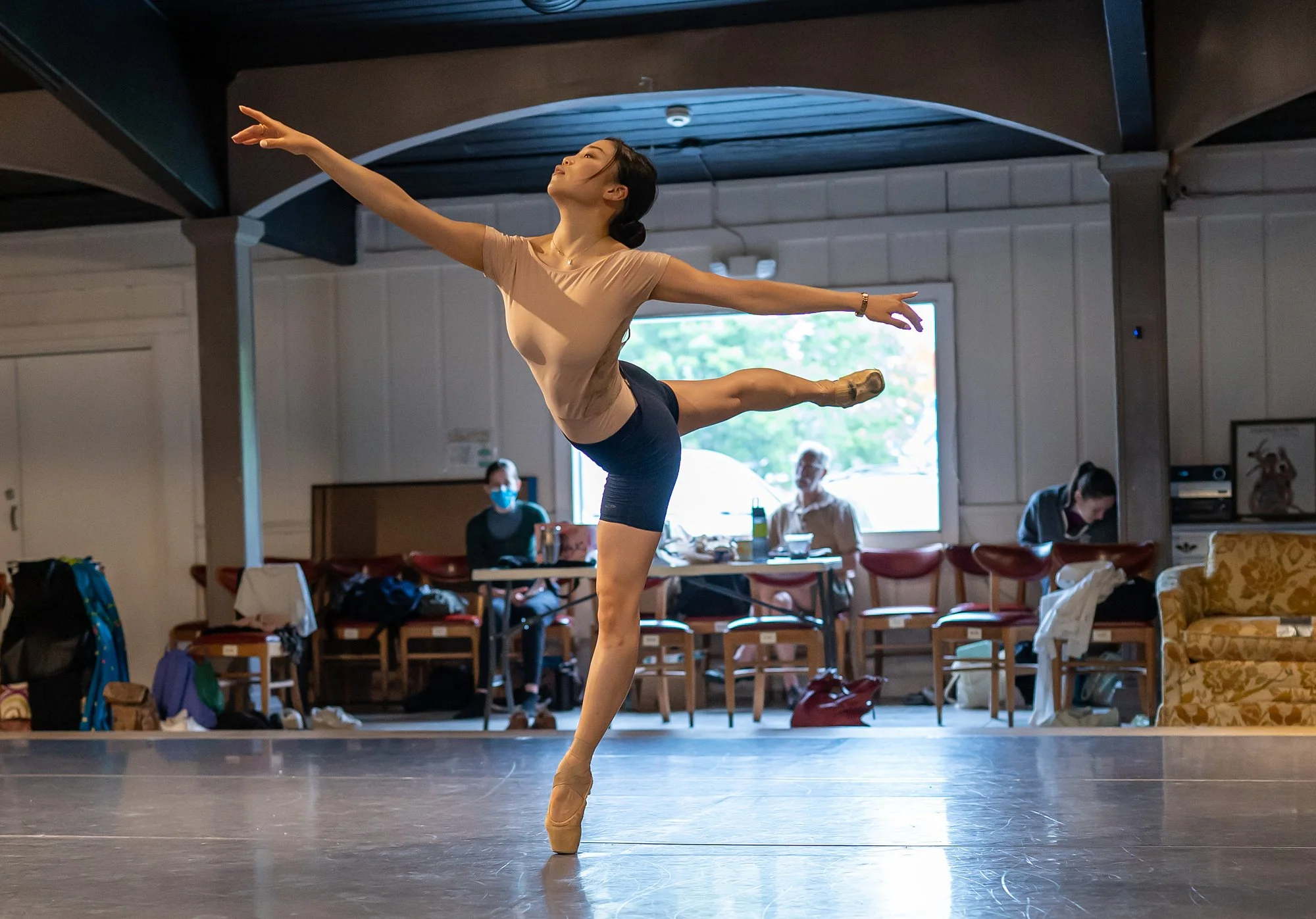 Take Ballet Class — Terpsicorps Theatre of Dance