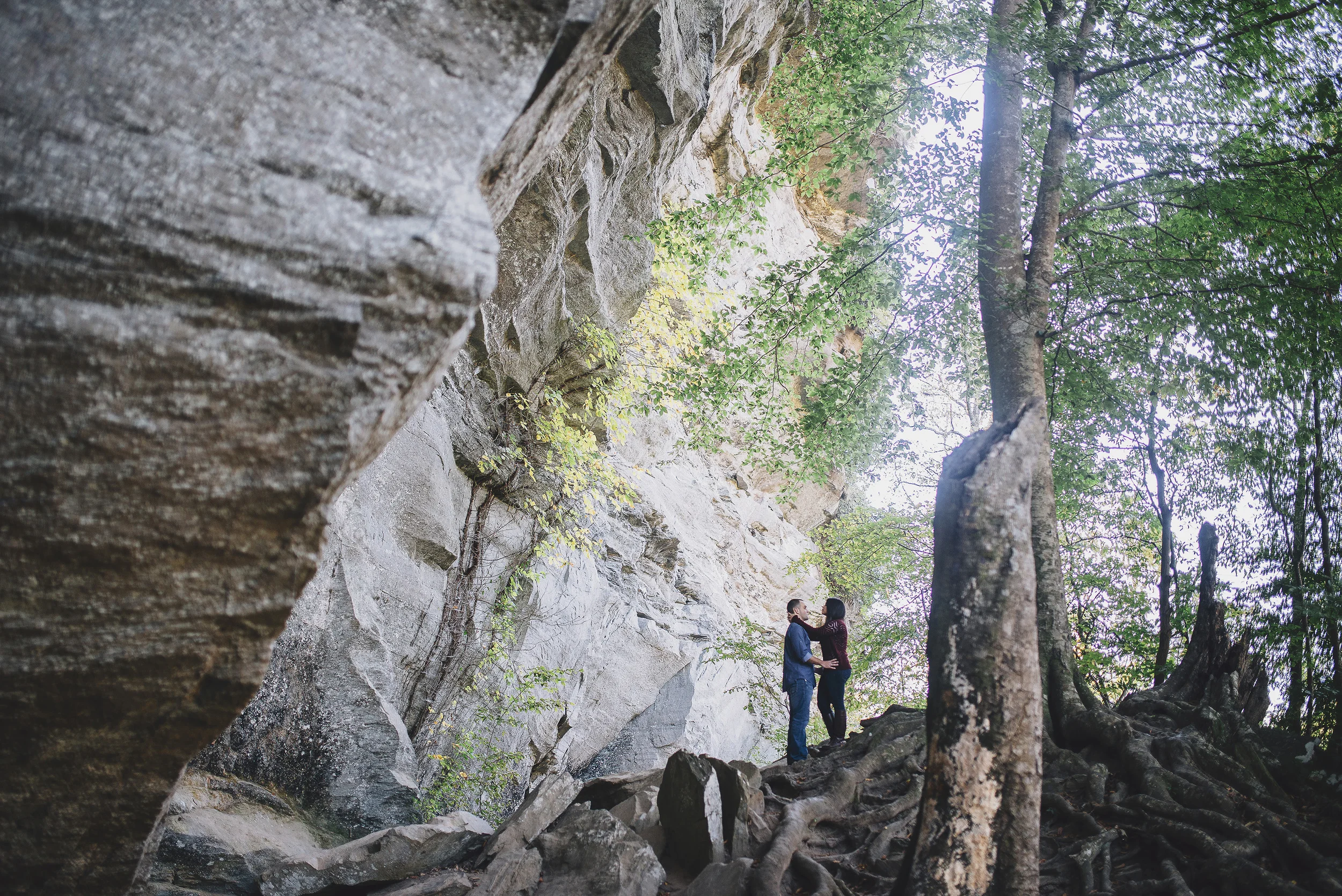 Alex+Michael, Raven Rock Engagement — Samantha Floyd Photography