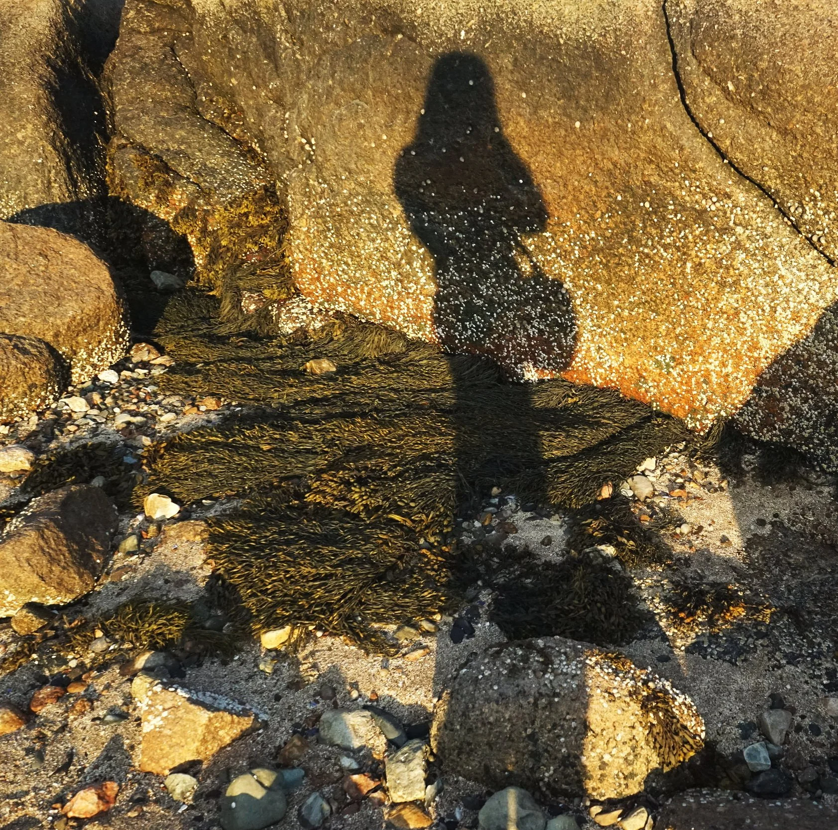 about — Sage Lewis