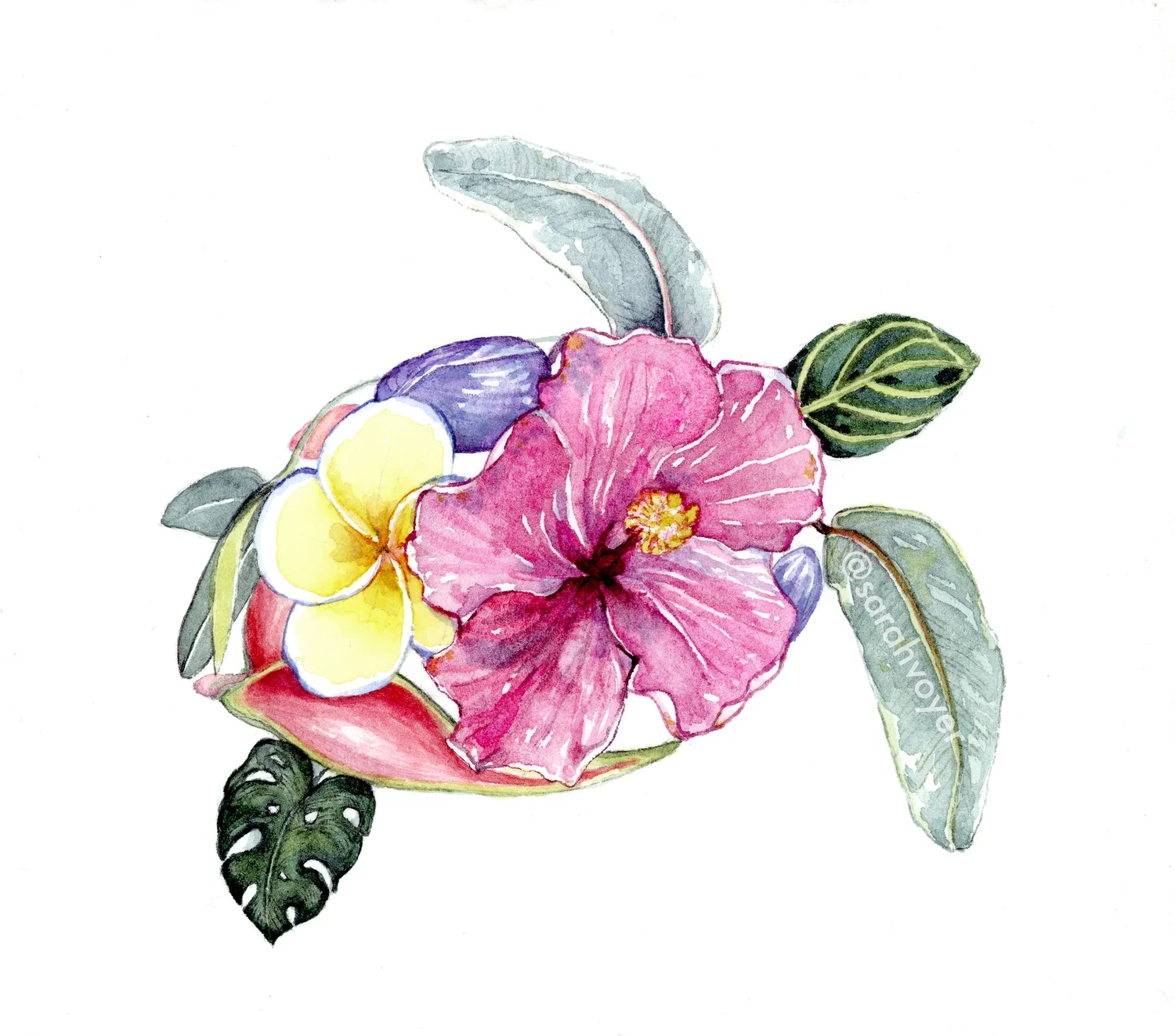 Ocean Flowers Drawings