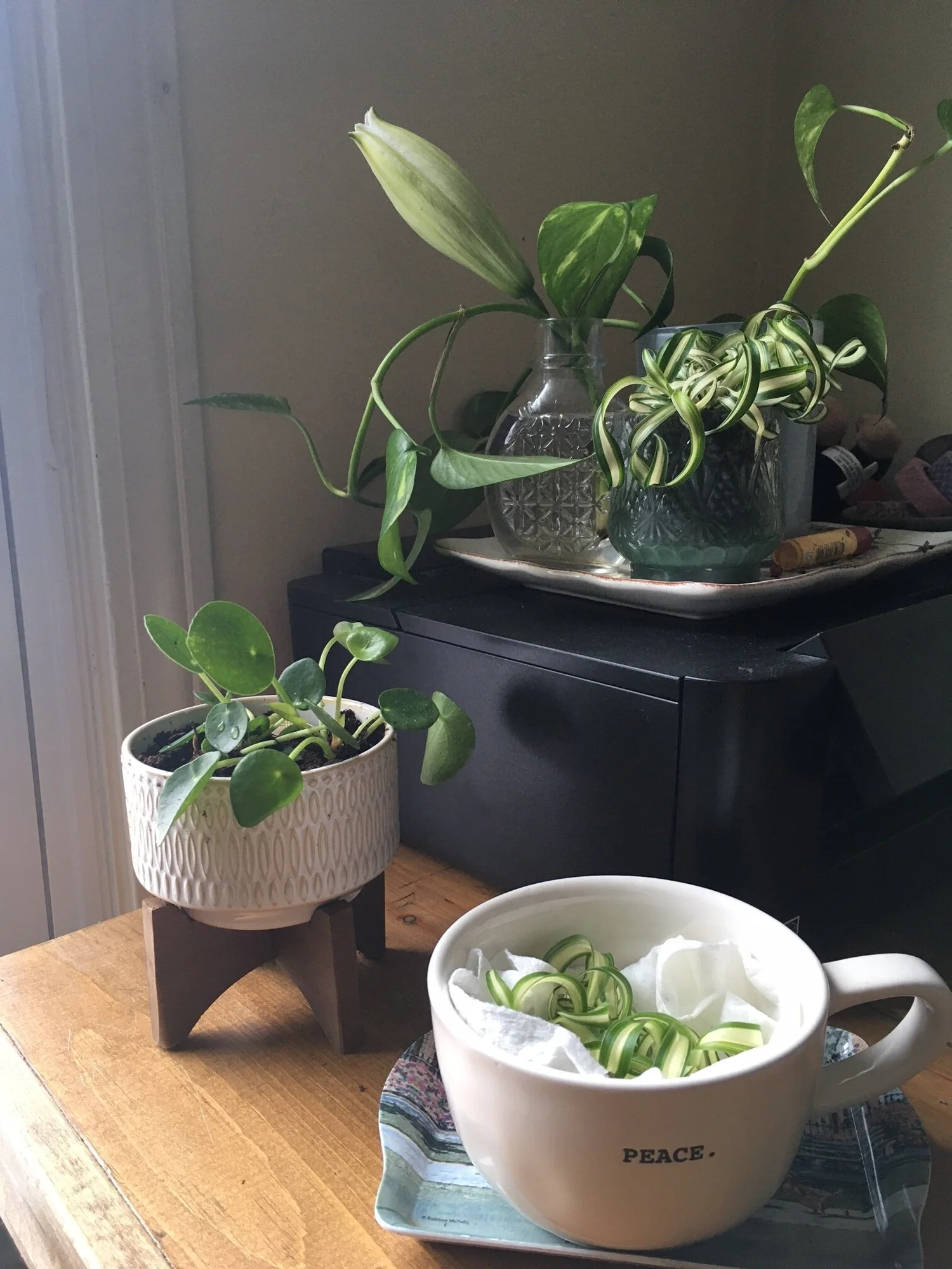 Creativity and Plants: Improve your creative space and mood. — Lisa M ...