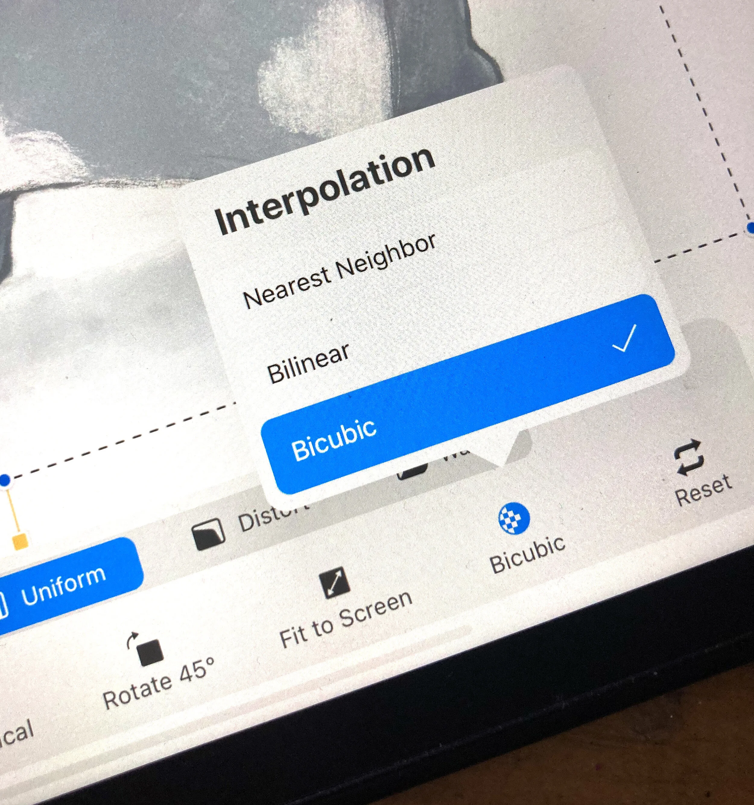 The Best Procreate Tips that I use in my Creative Workflow — Lisa M. Griffin Illustration & Design