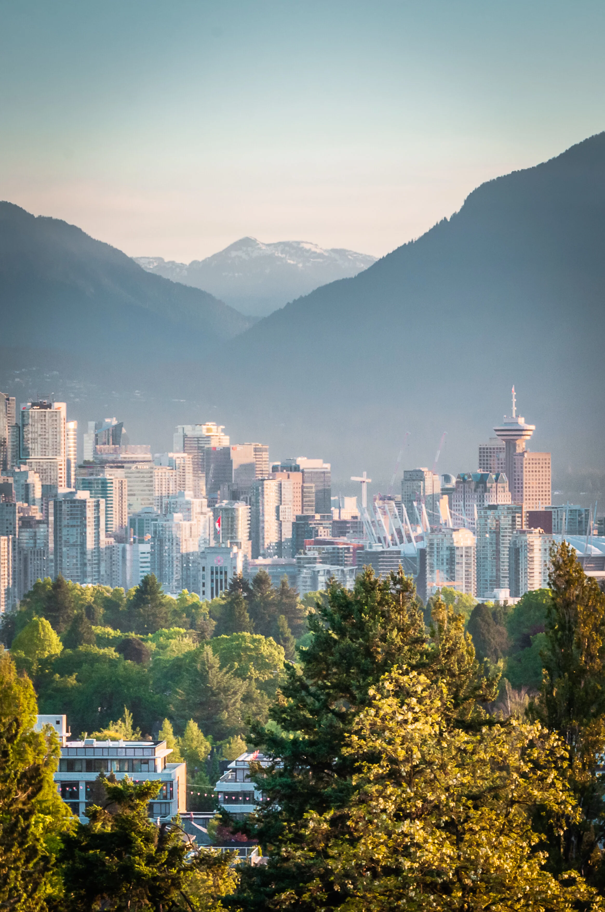 Photography — SANDRA HARRIS PHOTOGRAPHY