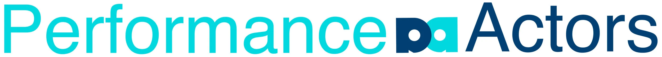Performance Actors Agency