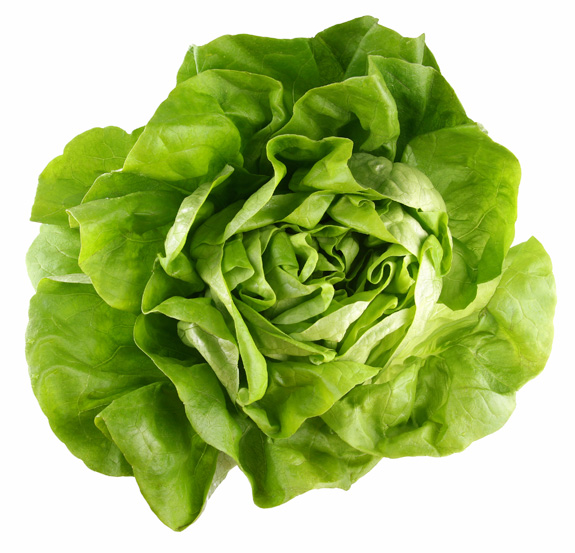 How To Grow Lettuce & Leafy Green Veggies This Fall - Indoors & Out ...
