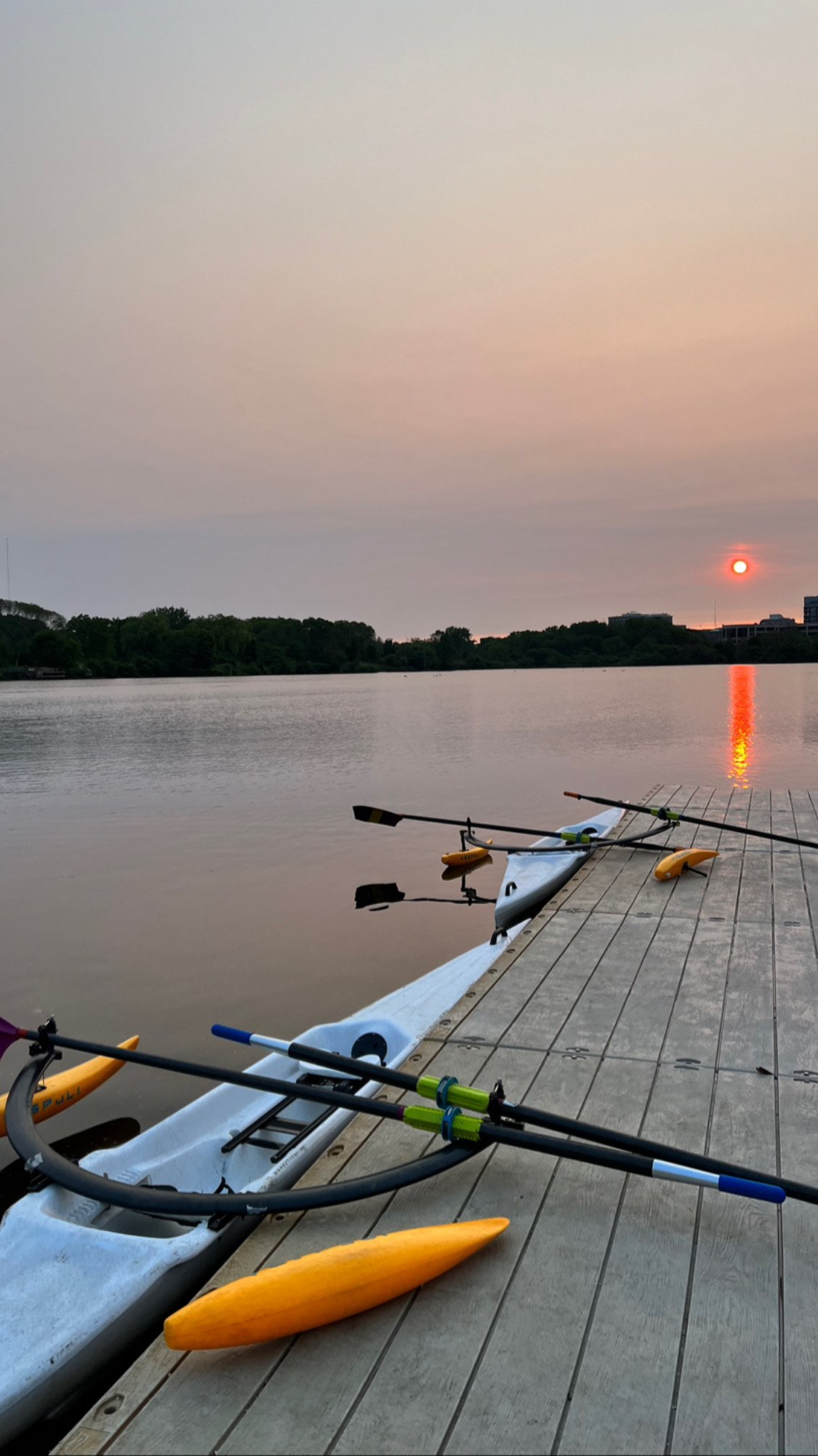 Gentle Giant Rowing Club